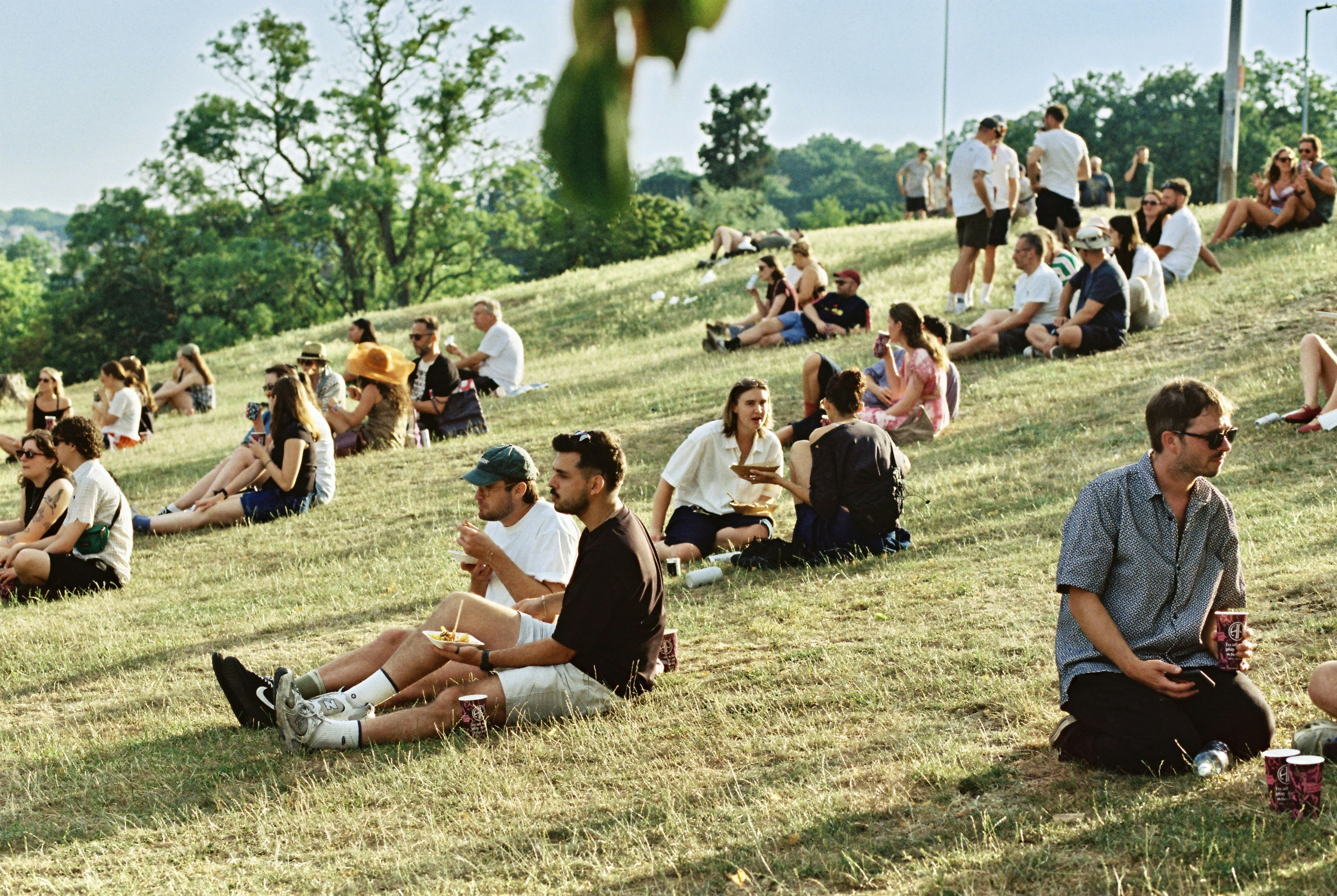Sunlit hillside gathering: people seated along a grassy slope