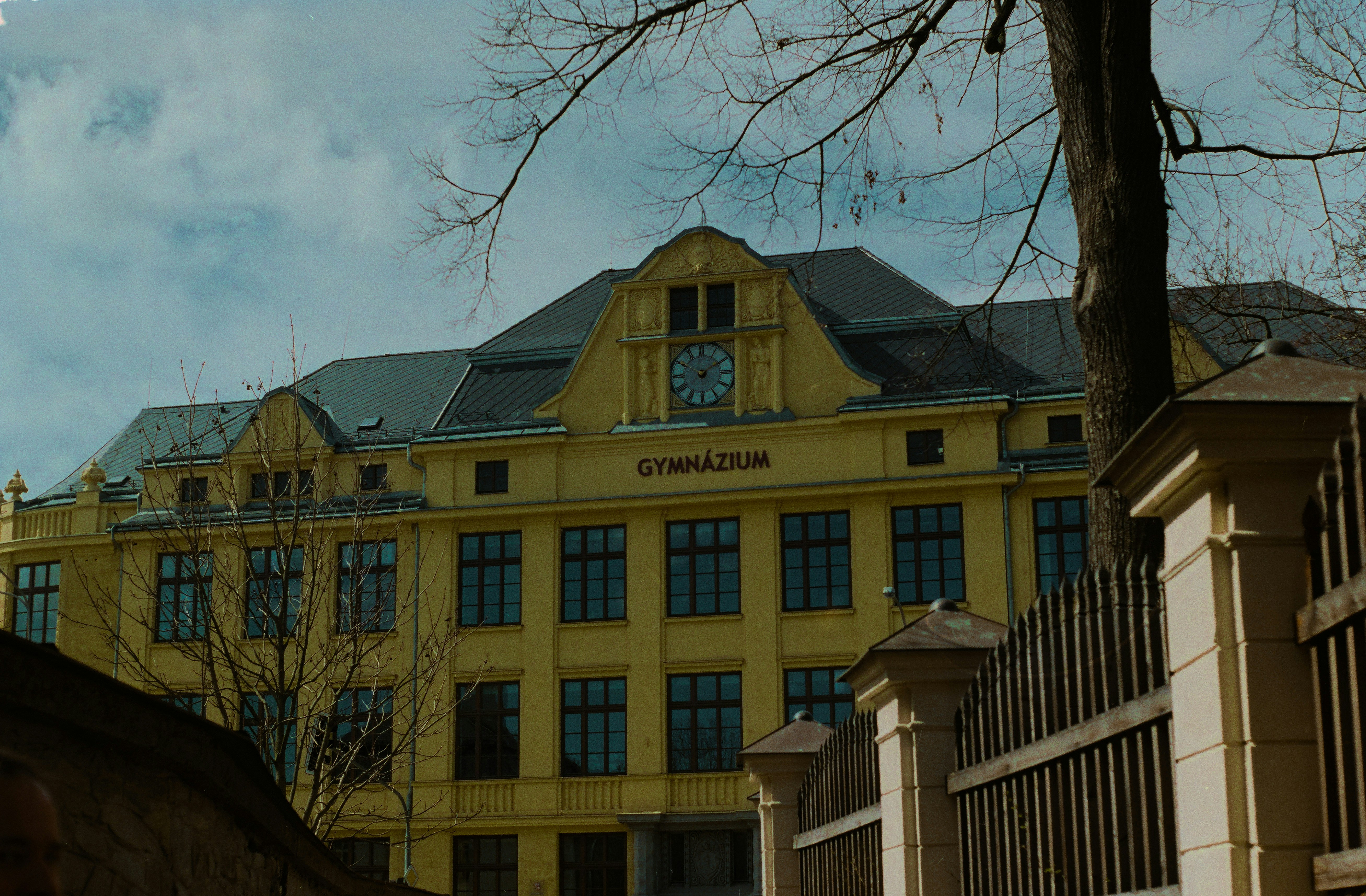 Golden Gym Facade Under Bare Winter Trees