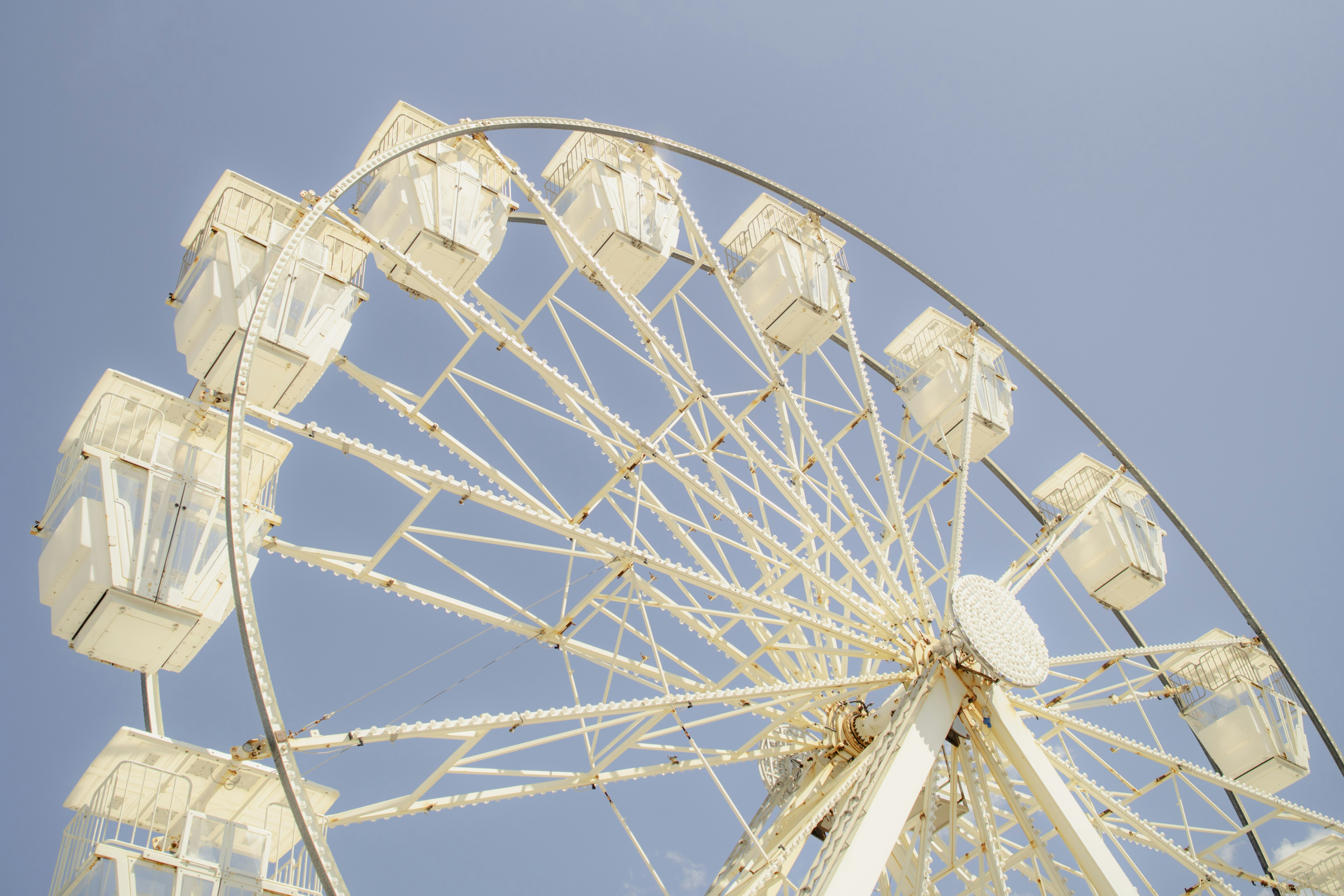 Skyward Wheel: A Gentle Giant Reaching Toward the Sun