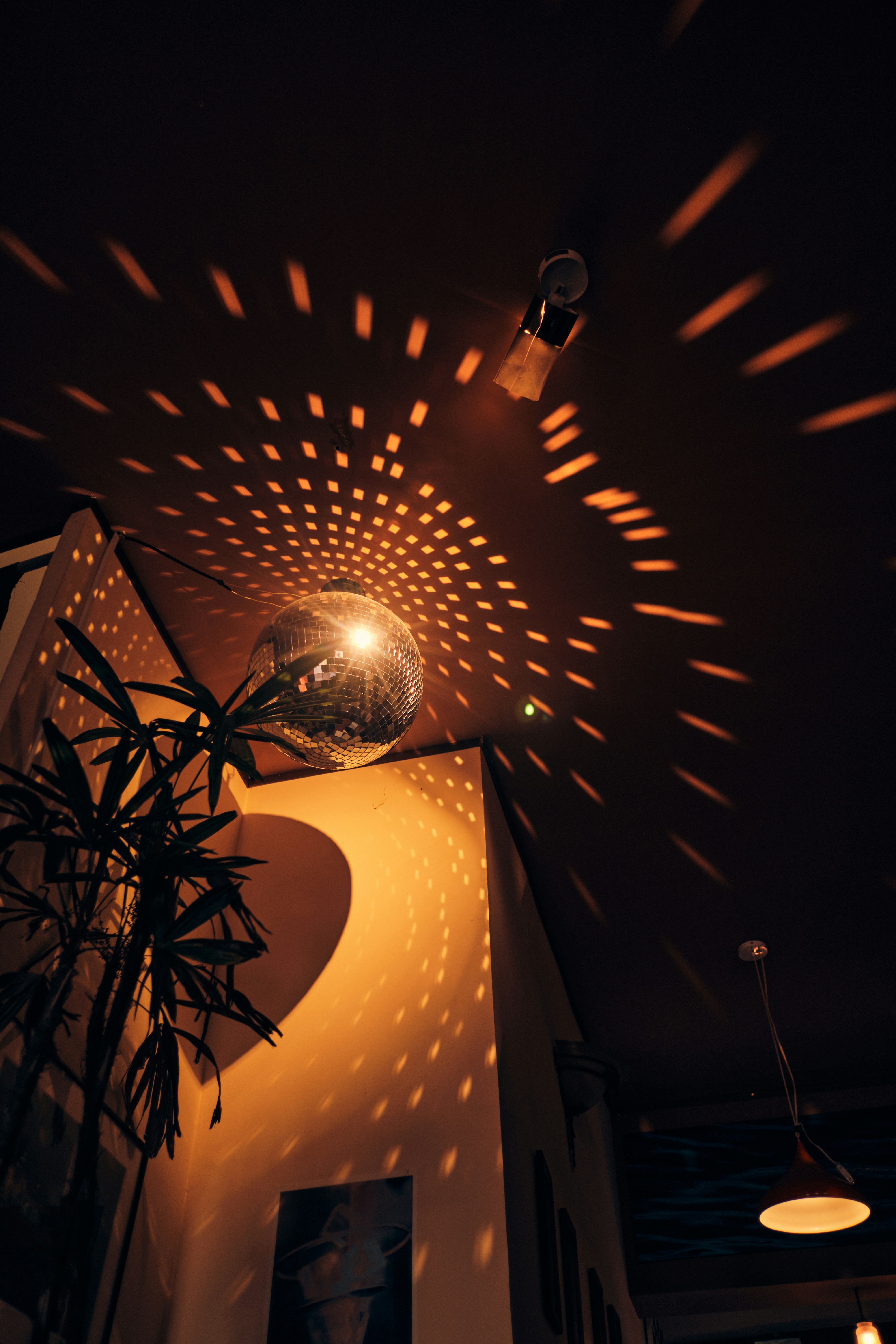 Disco ball projection creates dotted light patterns across a moody, warmly lit interior with a potted plant and geometric decor.