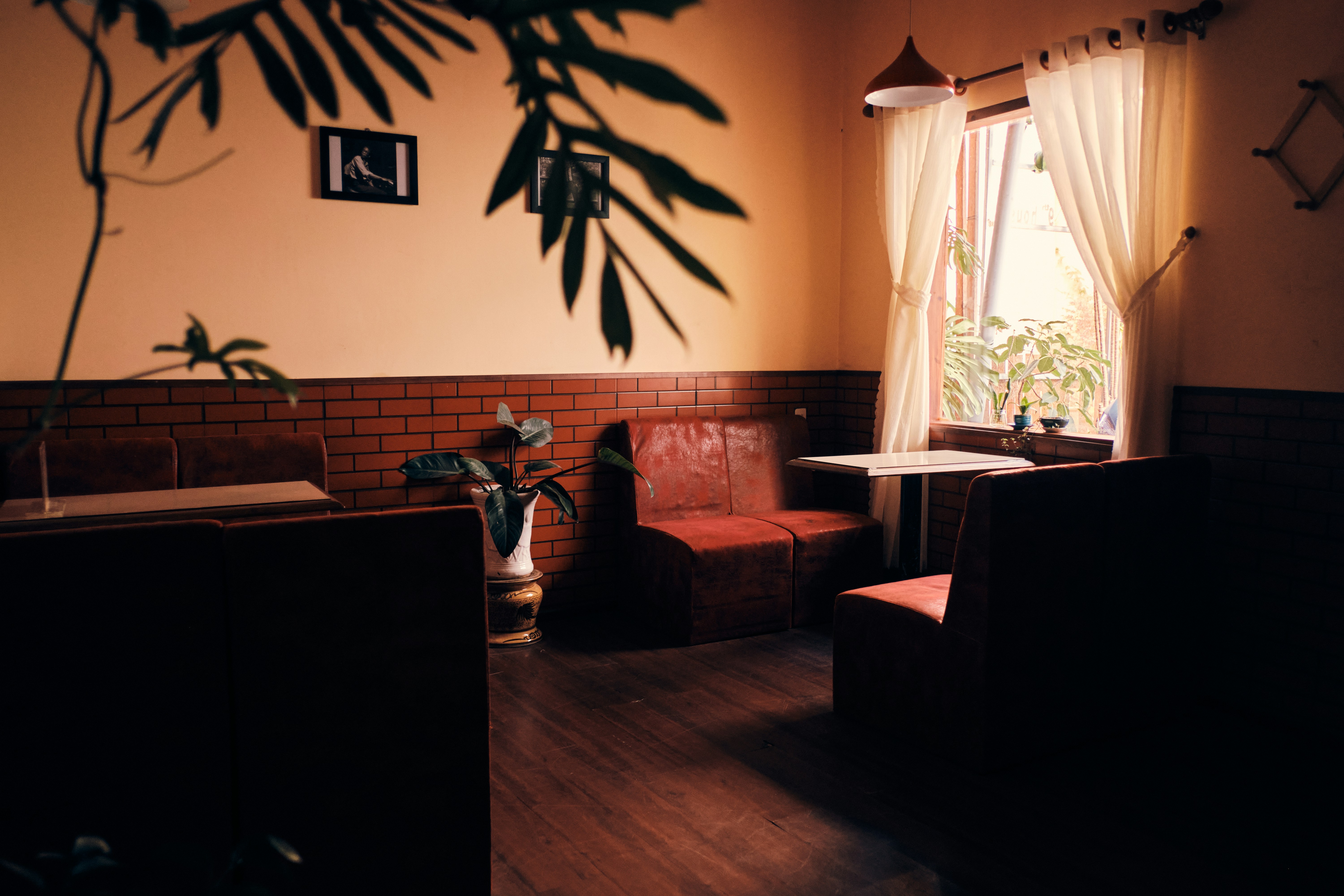 Quiet Corner: Warm Light Filtering Through a Café Booth
