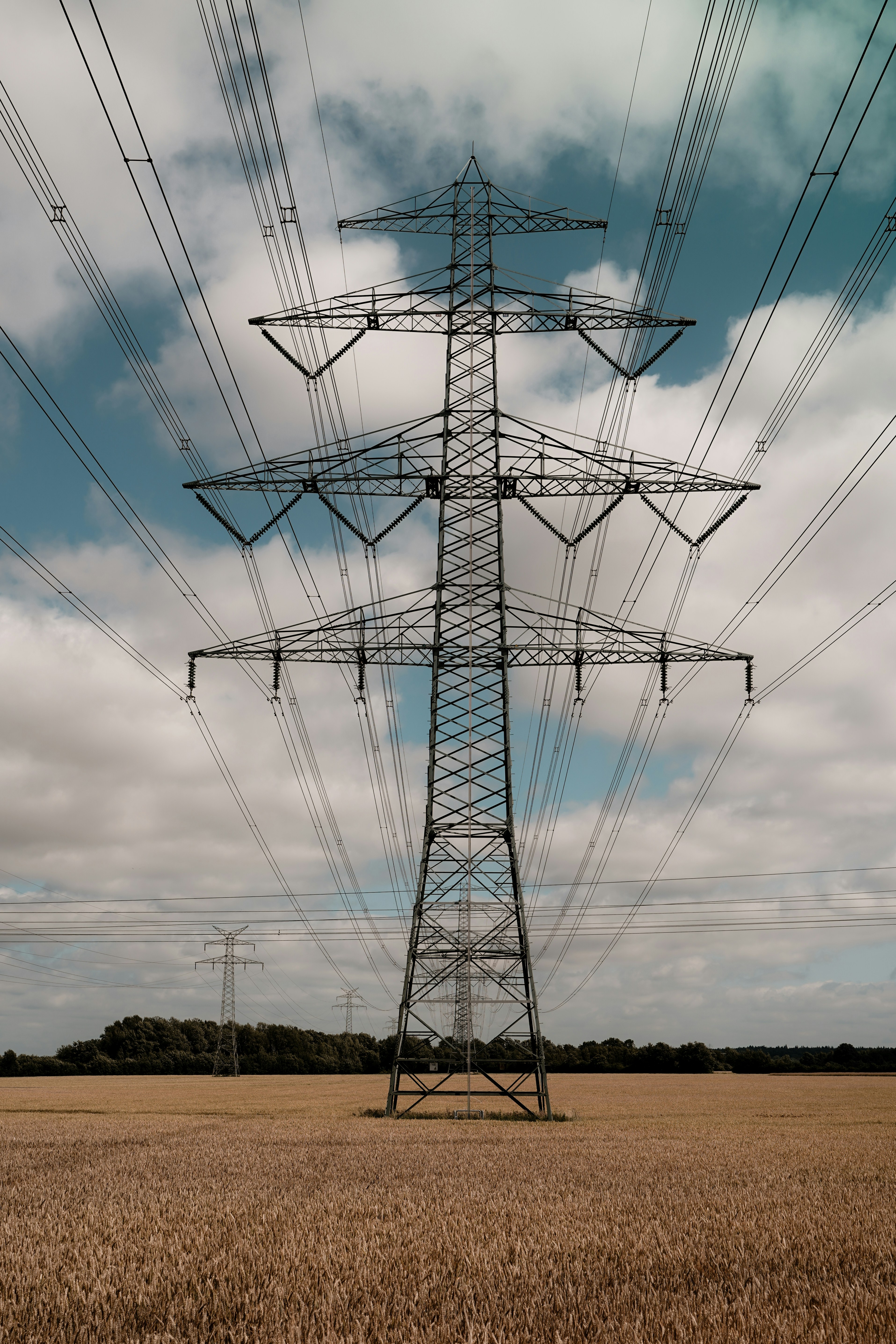 Towering Lattice: A Field of Lines and Sky