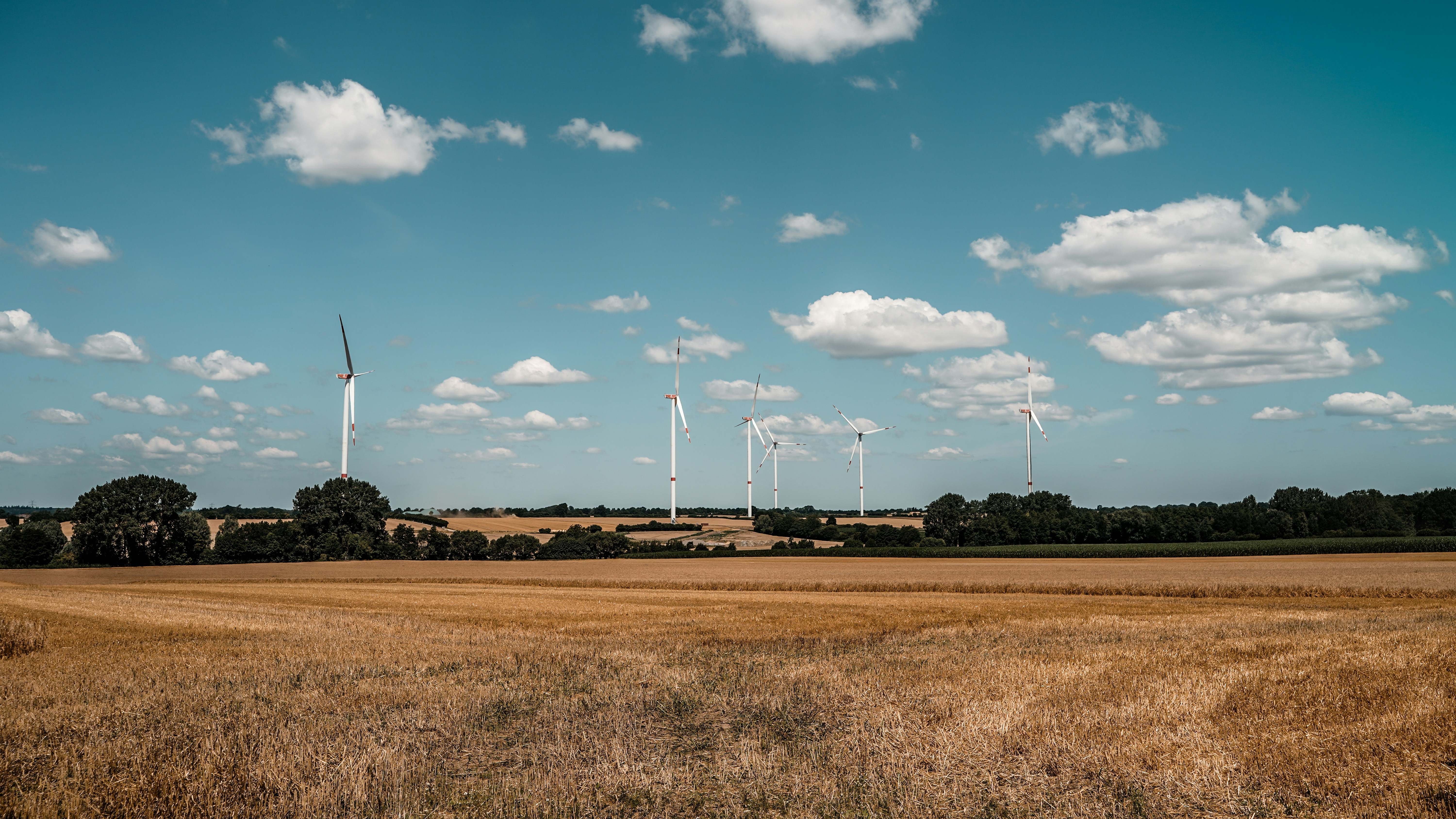 Windmill Row Over Golden Cadence