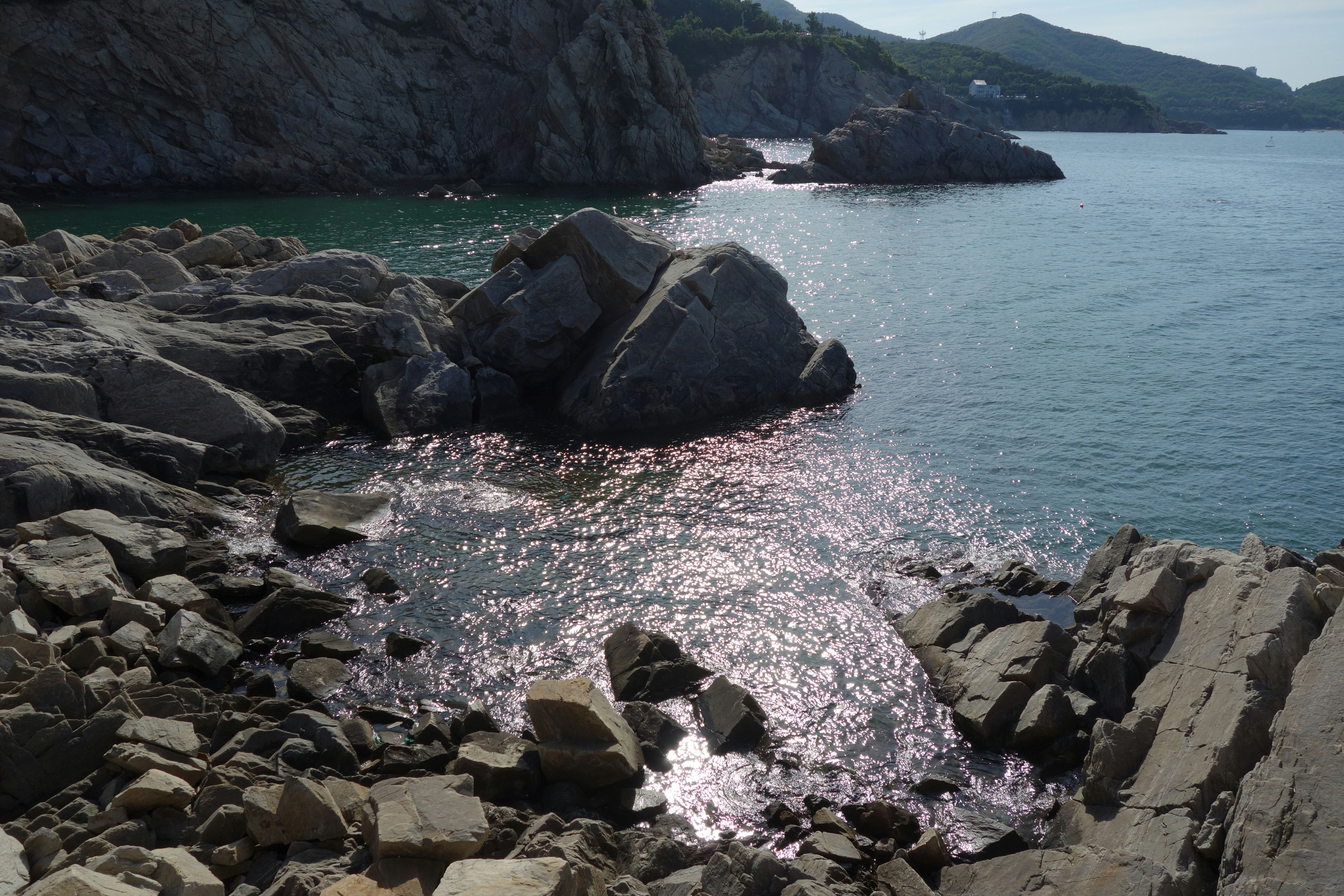 Sunlit Ripples over a Rocky Cove