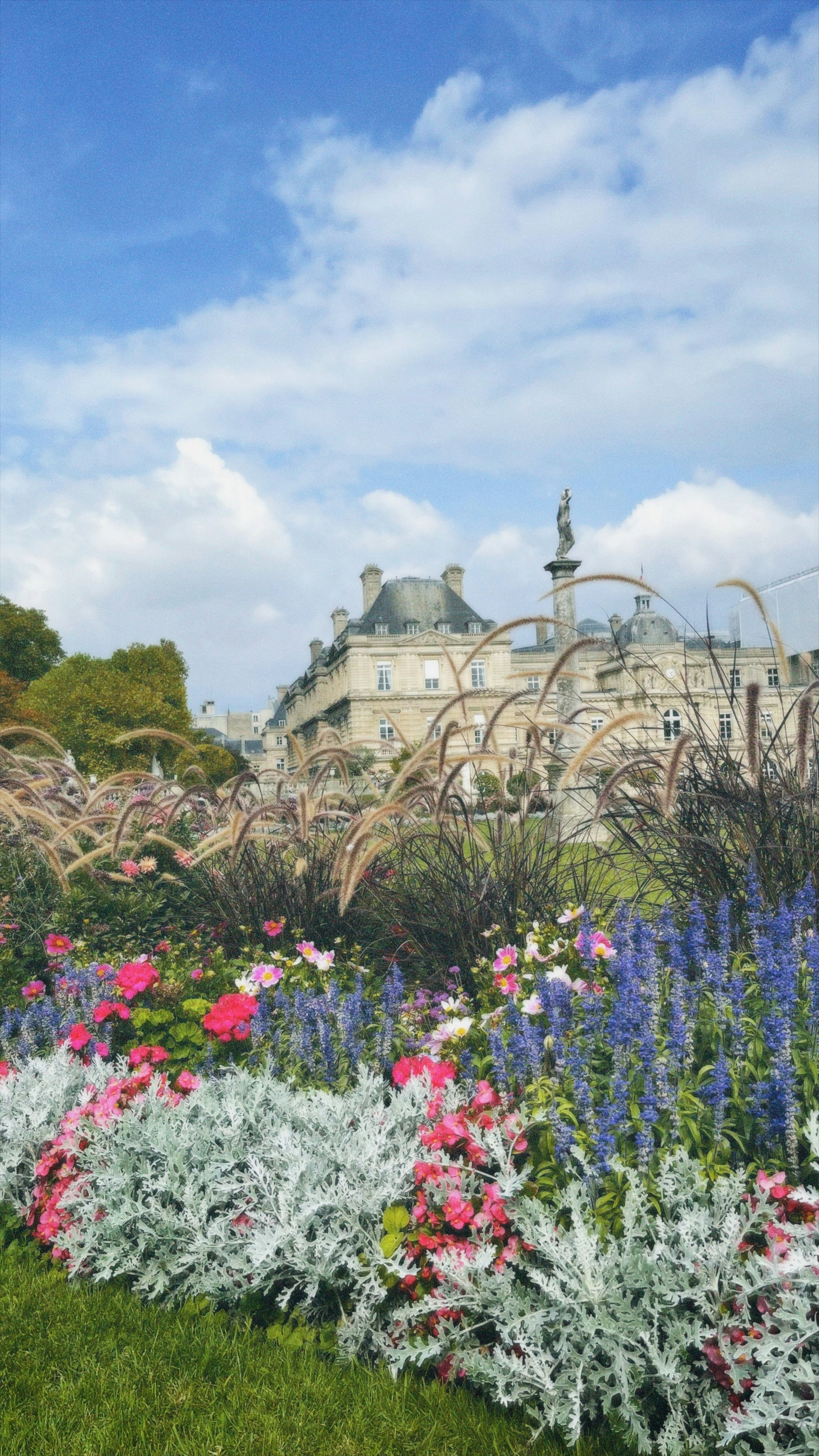 Blooms Before the City: A Floral Curtain with Historic Rooftops