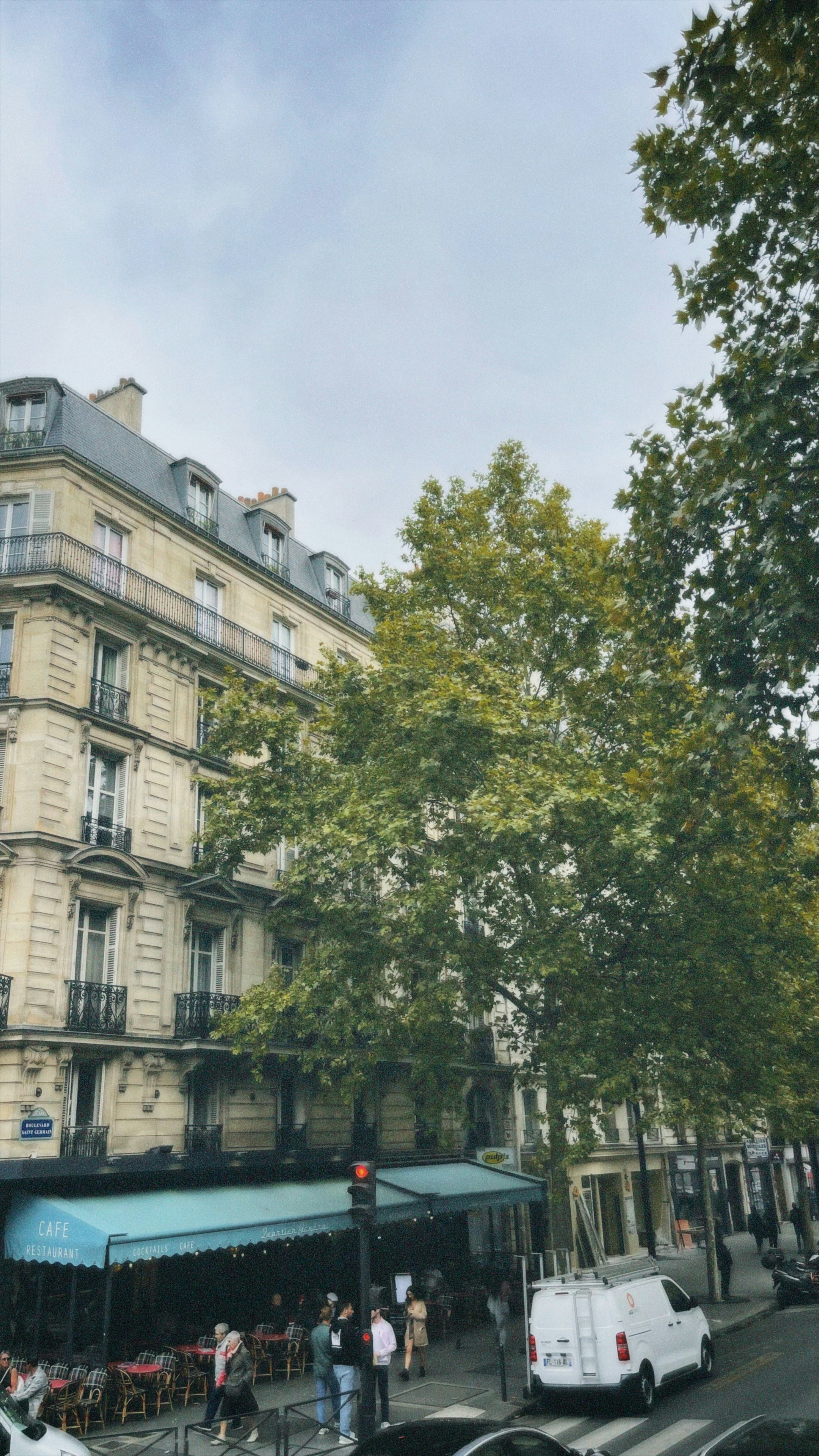 Parisian Street Scene Under a Canopy of Trees