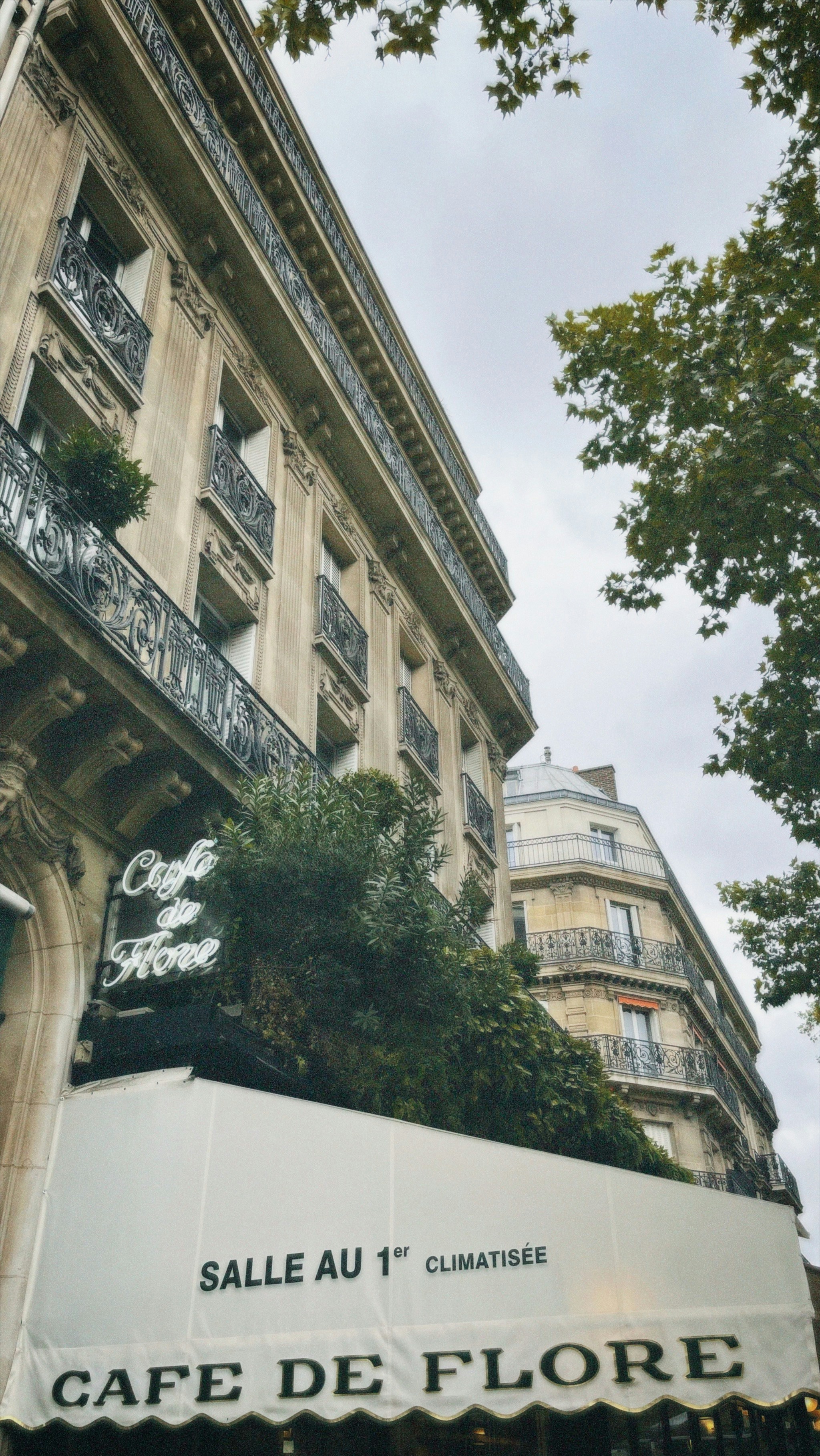 Cafe de Flore: Parisian Facade, Canopy and Street Arcadia