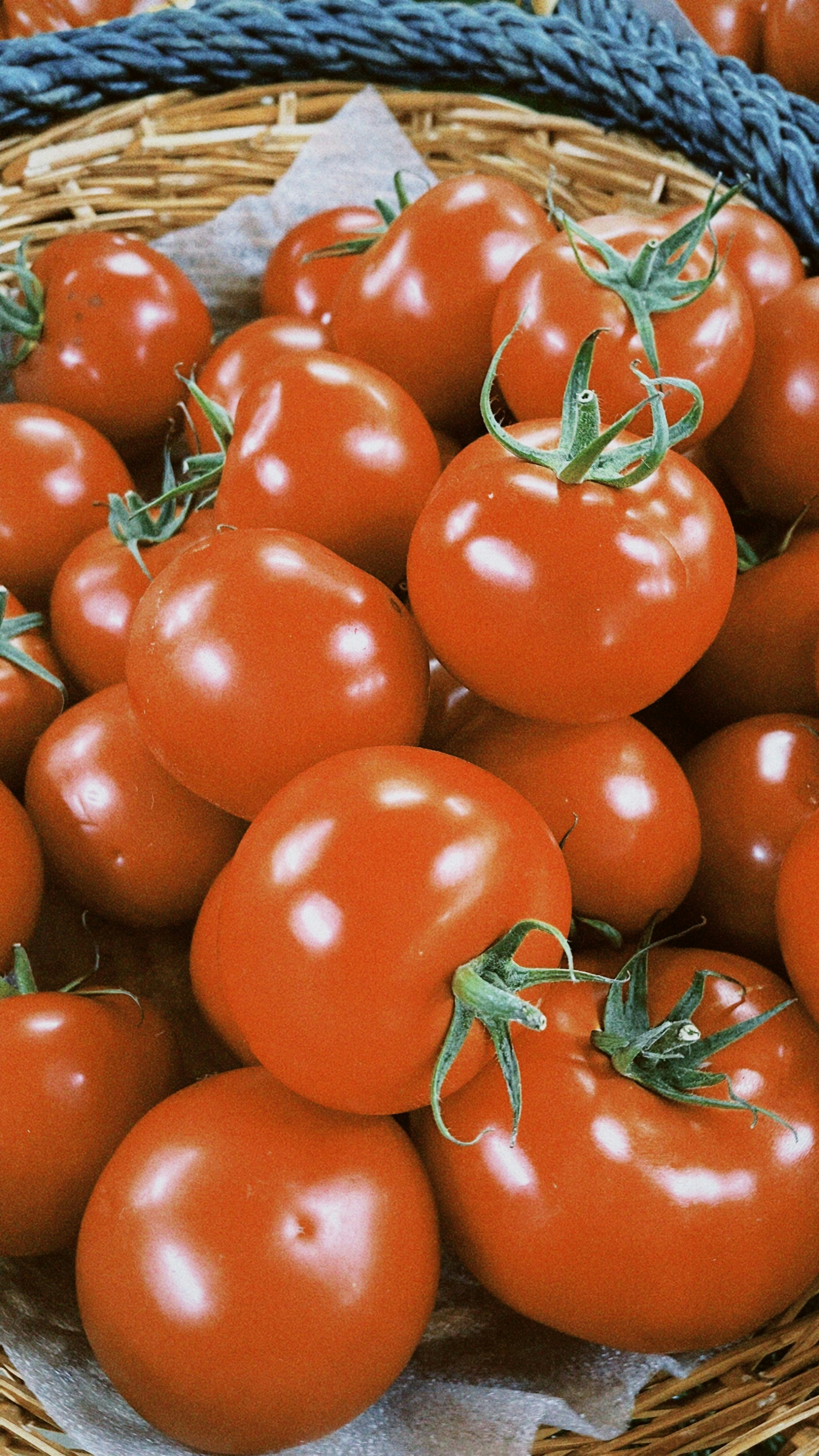 Basket of Sun-Warmed Tomatoes: A Riot of Red Orbs