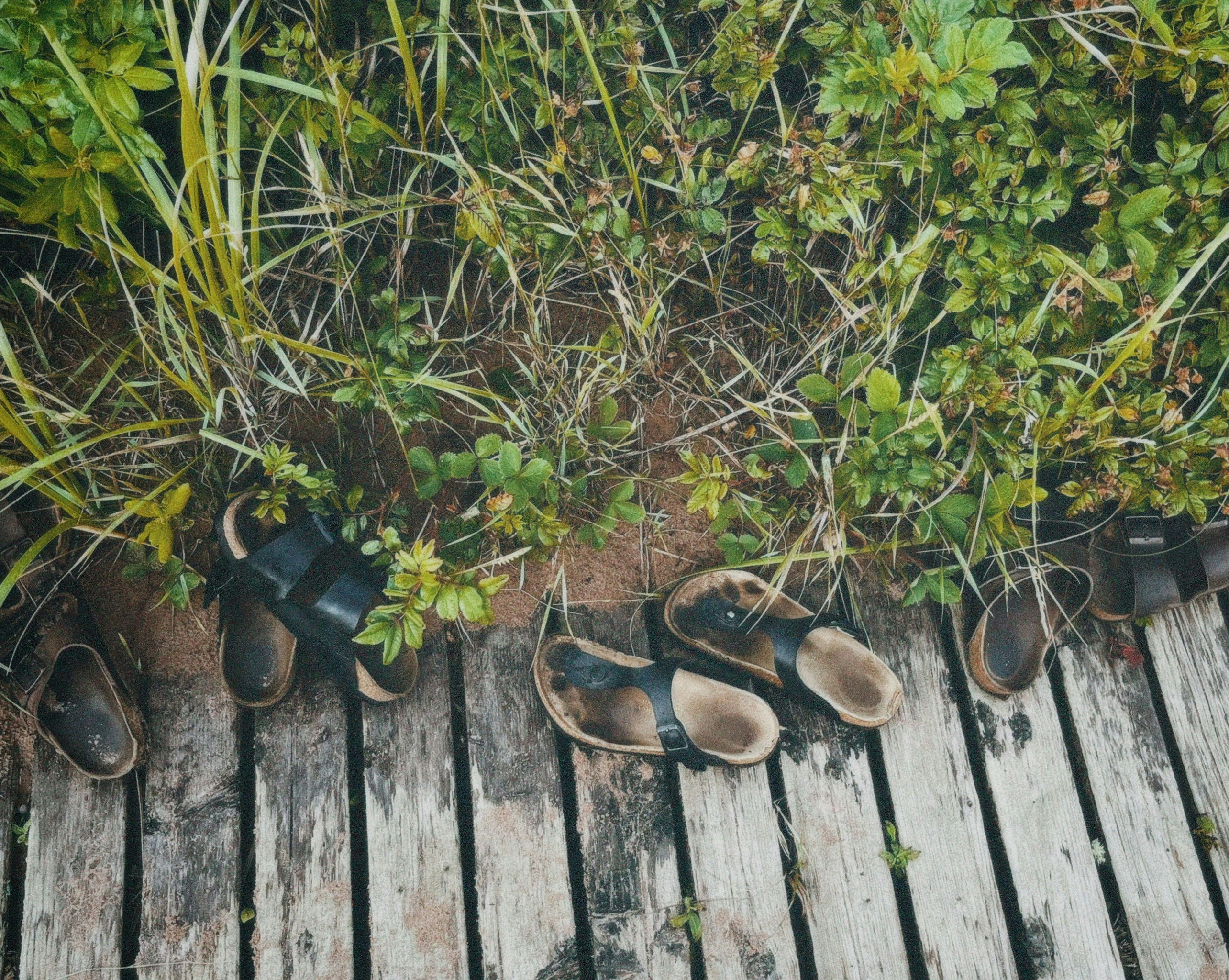 Footwear on a Weathered Deck: A Quiet Assembly by the Plants