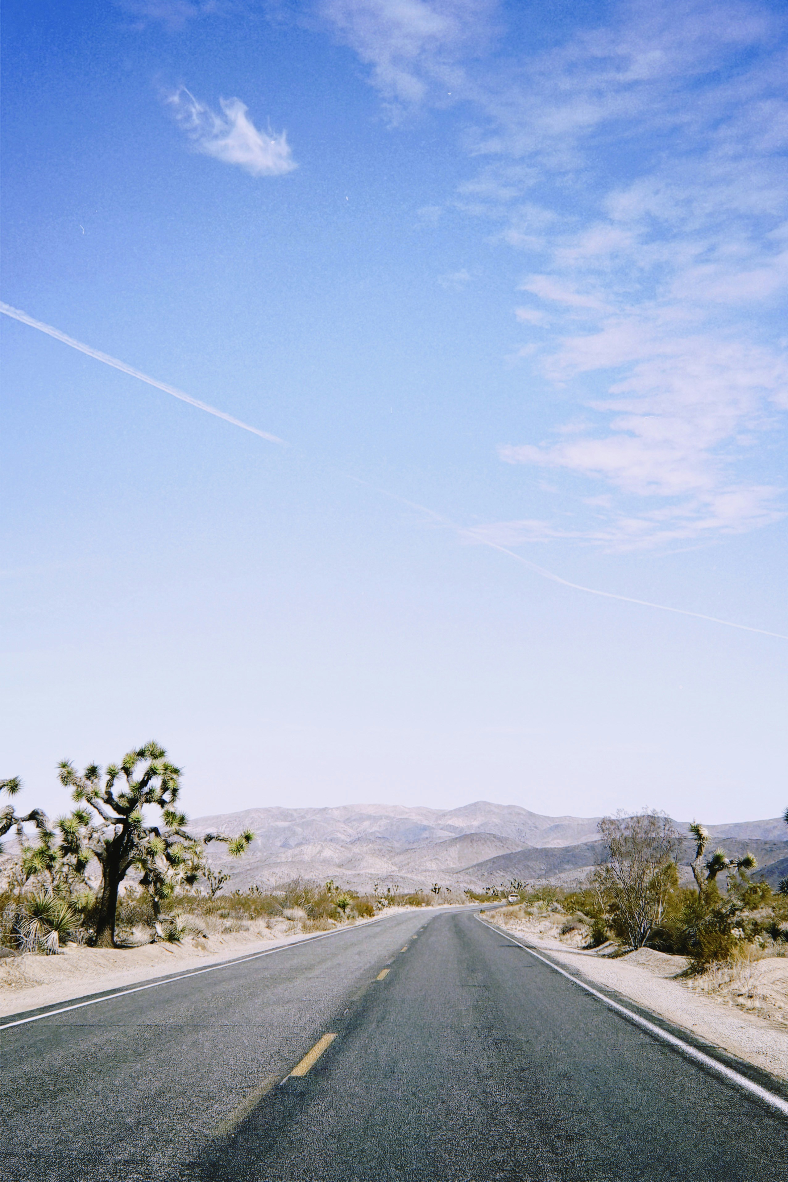 Desert highway recedes into the horizon beneath a clear blue sky, with sparse Joshua trees and distant mountains.