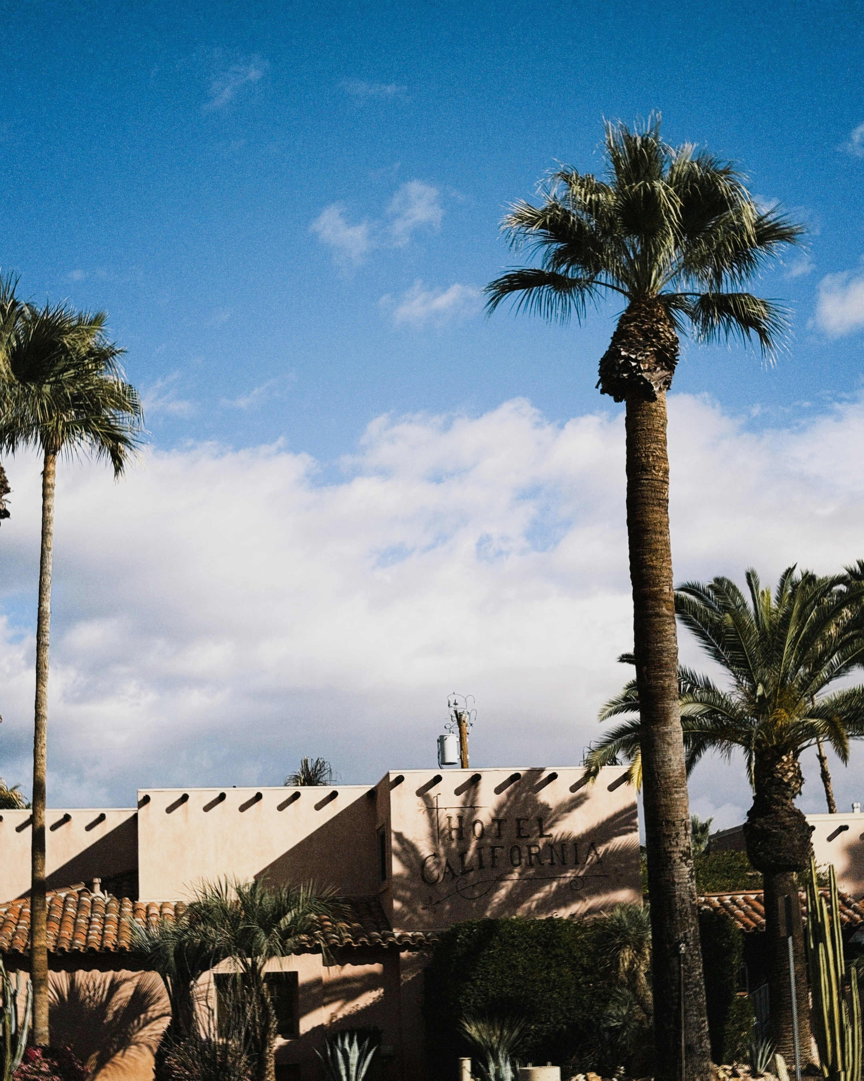 Sunlit motel façade with tall palm trees casting shadows against a bright blue sky and scattered clouds.