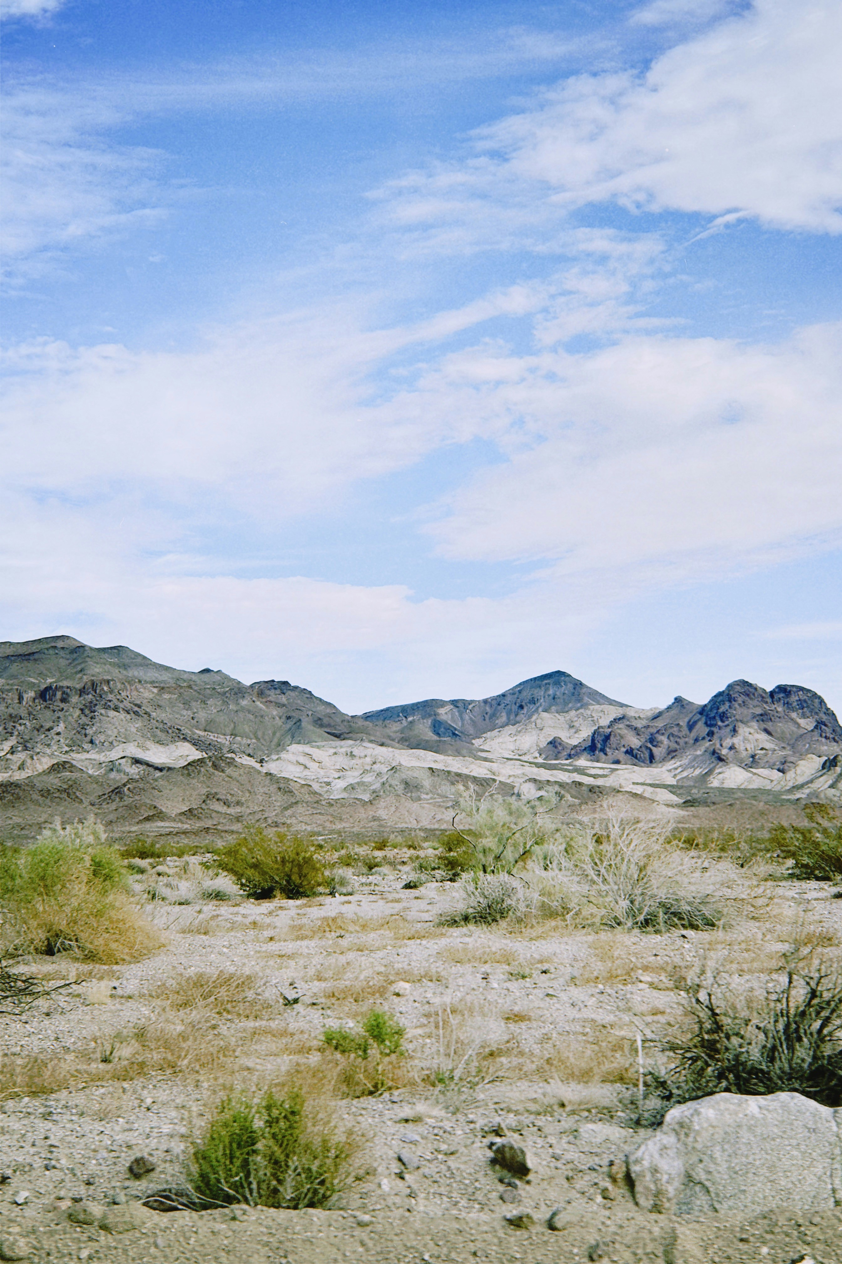Desert Range under Wide Sky: Sparse Flora meeting rugged peaks