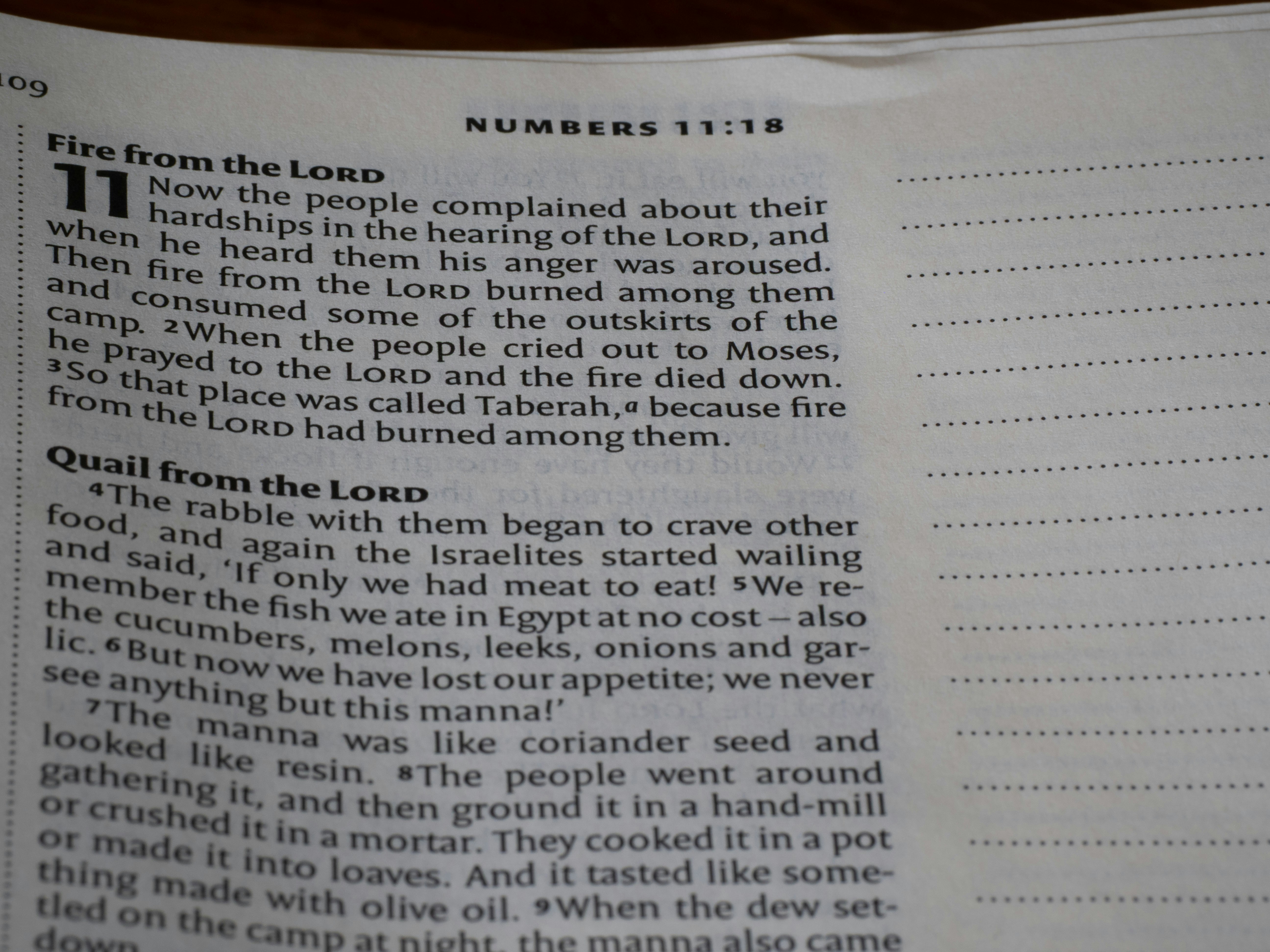 Faded close-up of a Bible page showing Numbers 11:18 text with surrounding column layout and marginal verses; printed in a small, serif font on slightly yellowed paper.