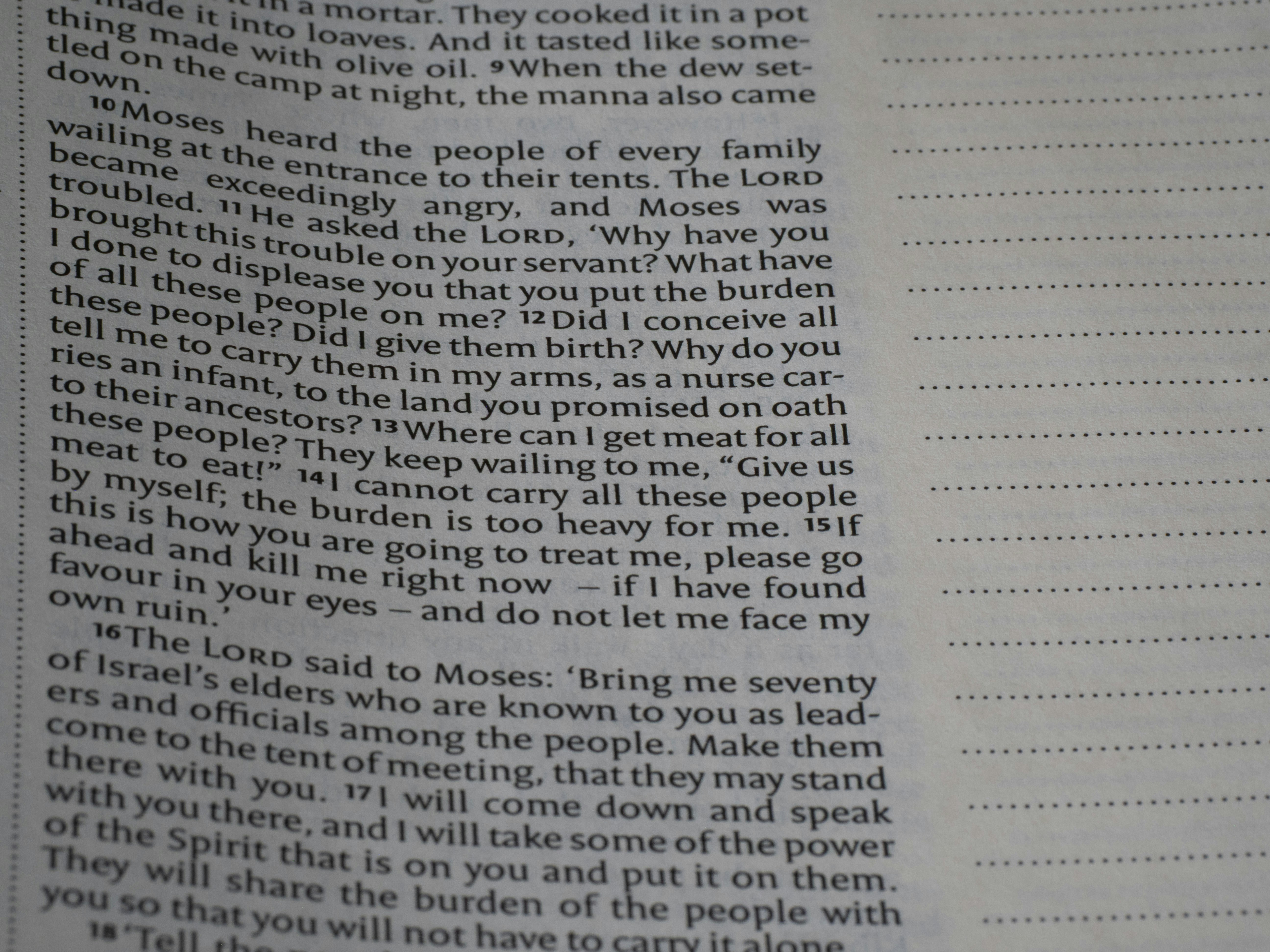 The Book of Numbers