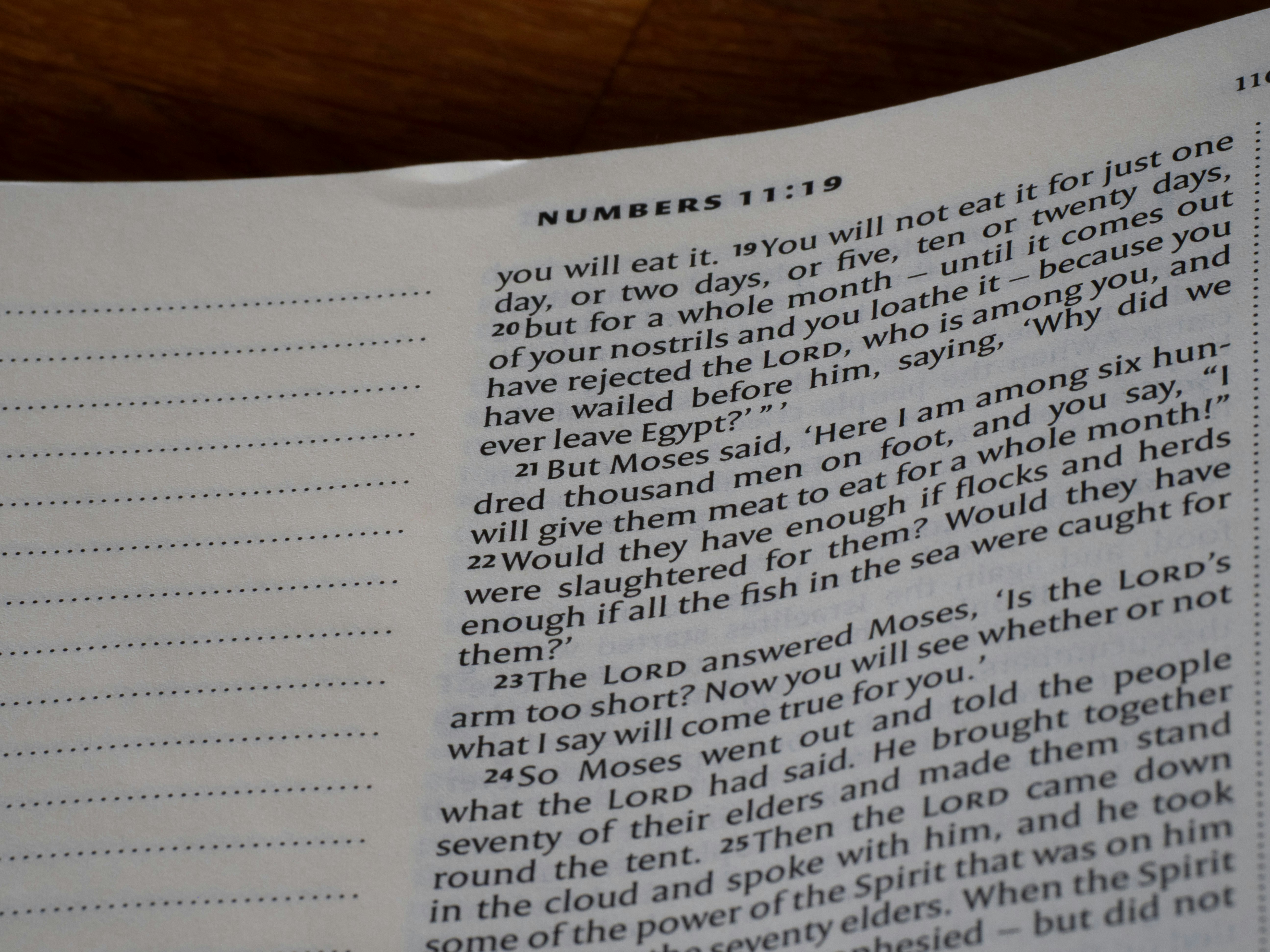 The Book of Numbers