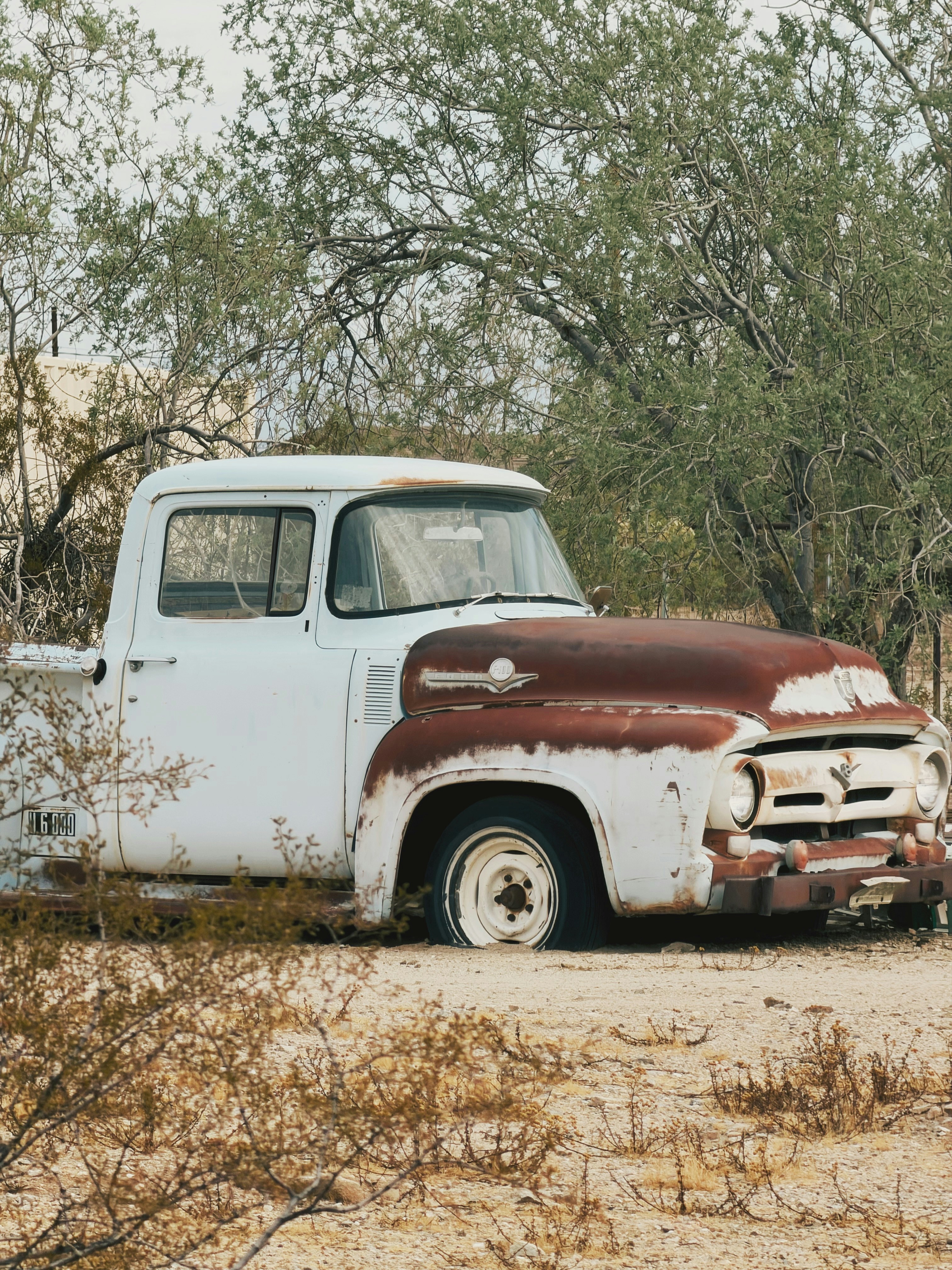 Rusting Relic: A Quiet Dawn with a Vintage Pickup