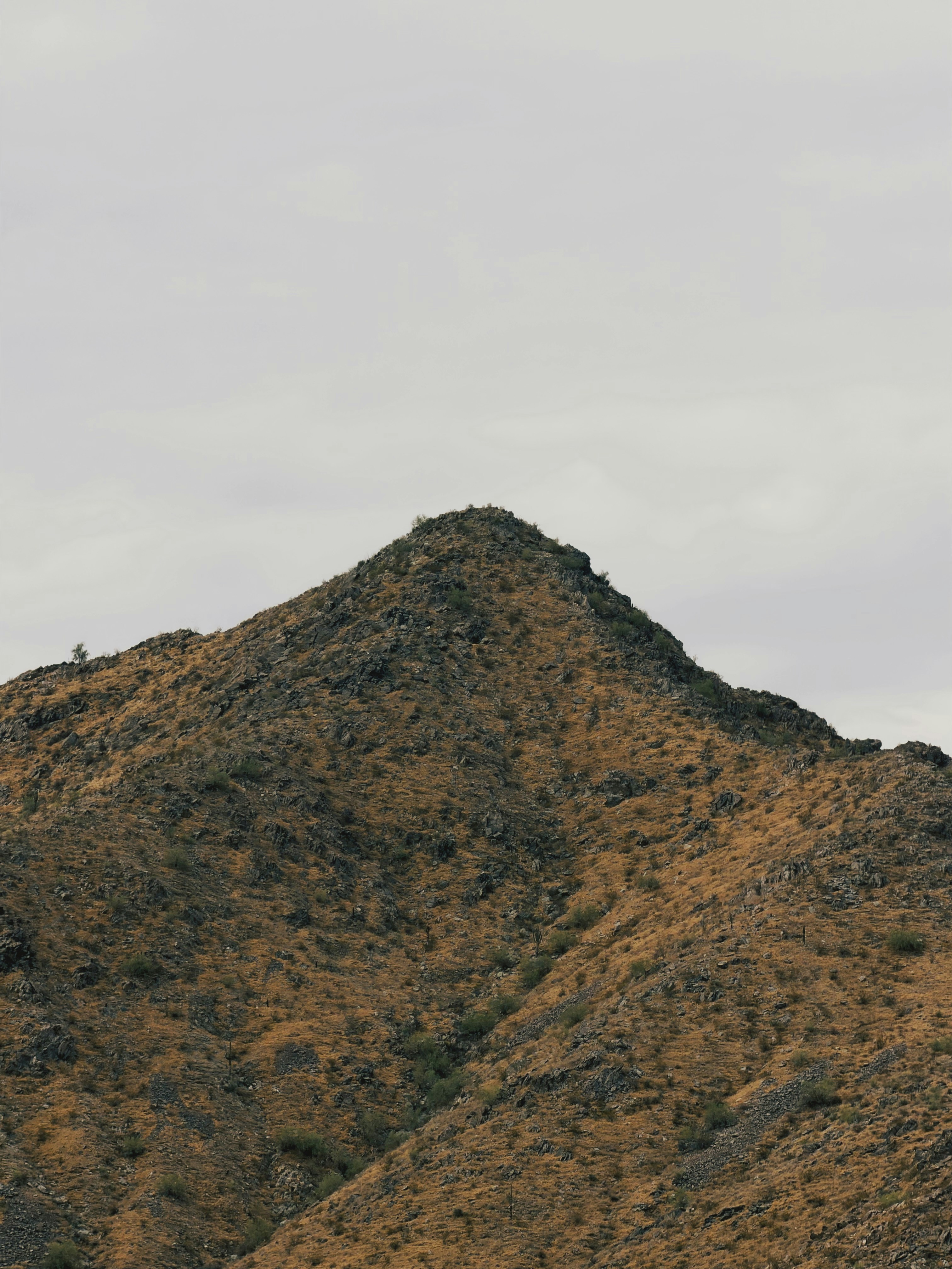 Sparse, sun-baked hillside ridge under a pale, cloudy sky with rocky textures and minimal vegetation.