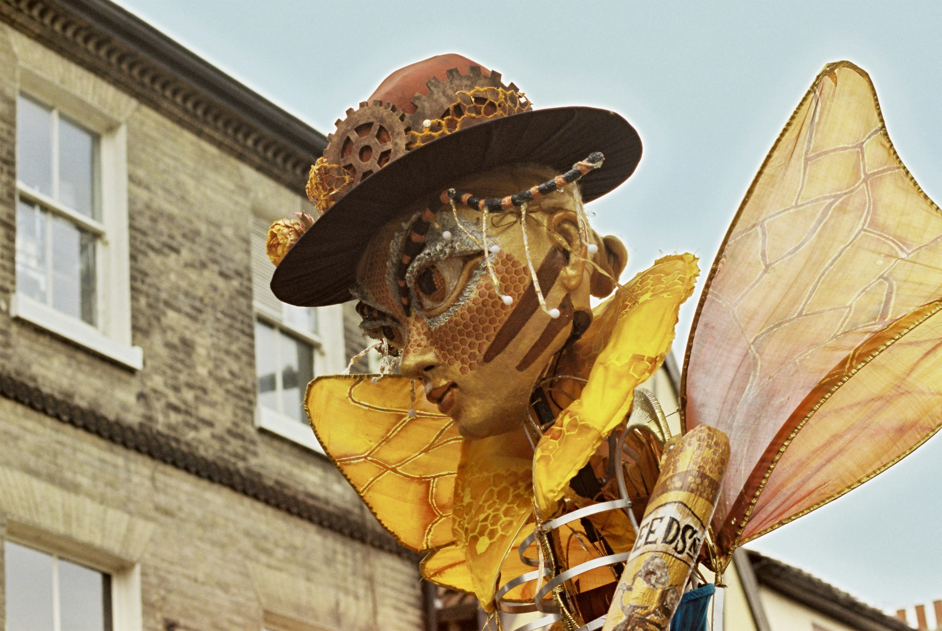 Masked Wings: A carnival of insectate fantasy atop a city street