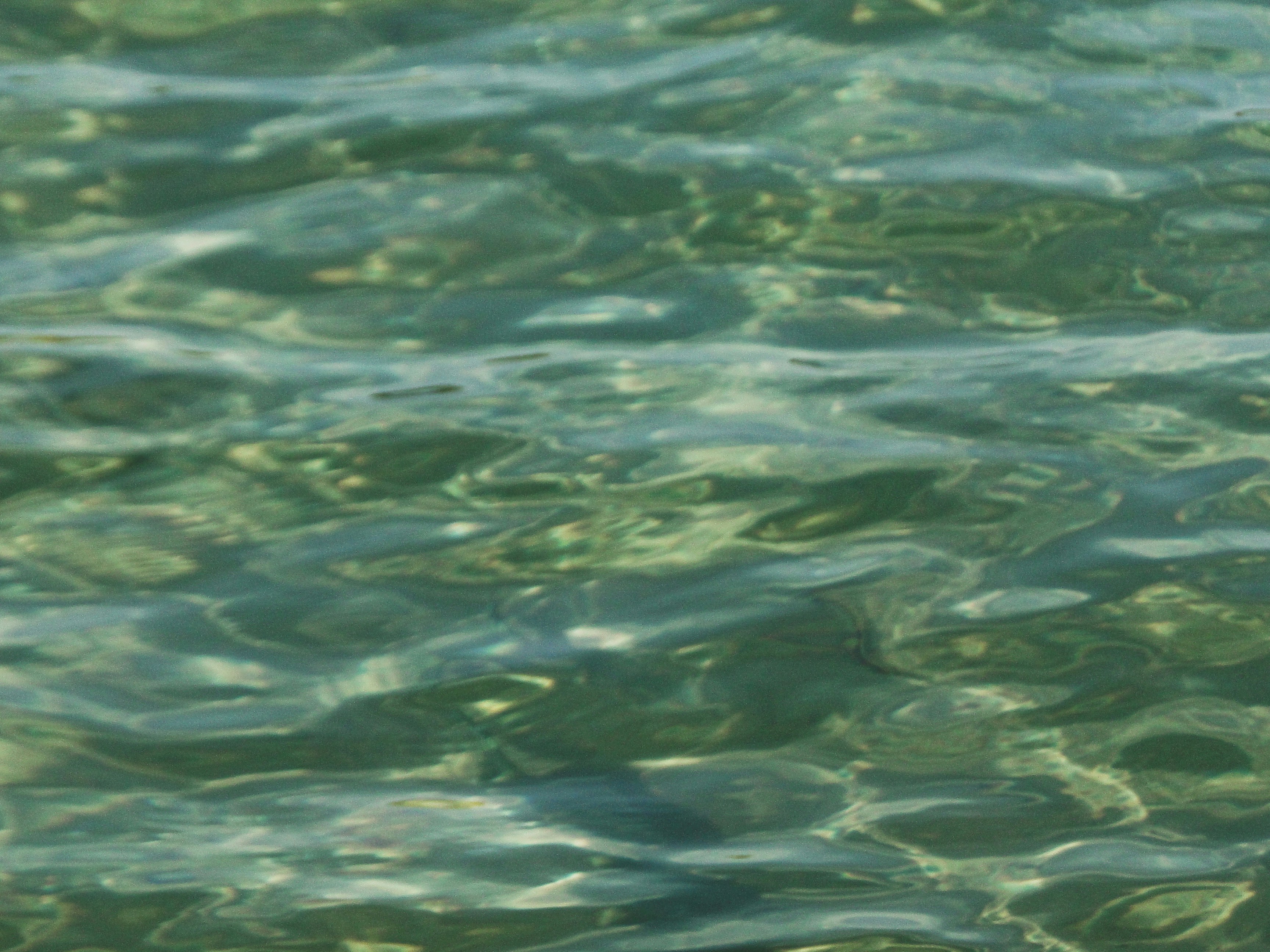 Mosaic of Sunlit Ripples