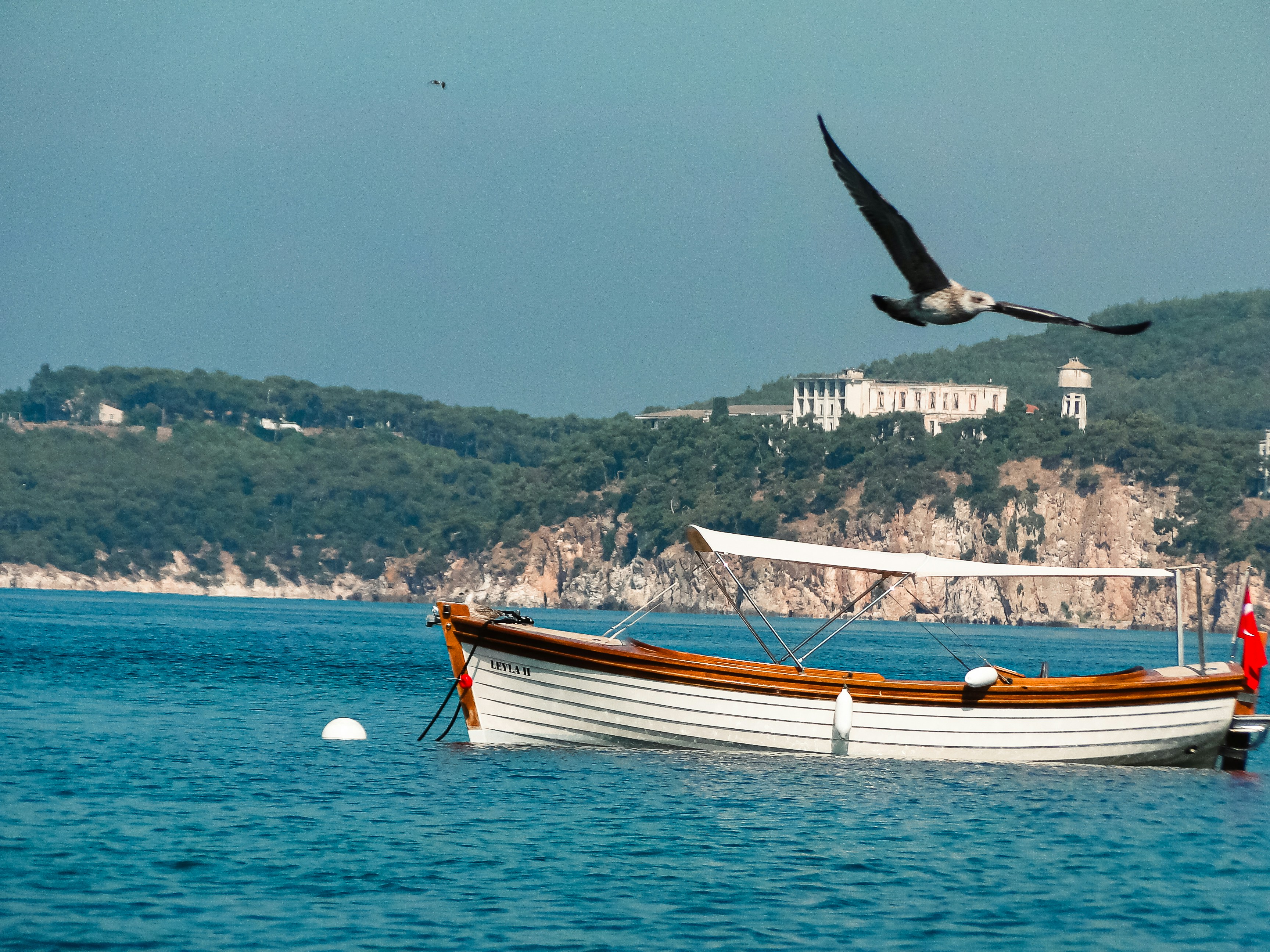 Seafaring Quiet: A Boat Anchored as Seabirds Glide High