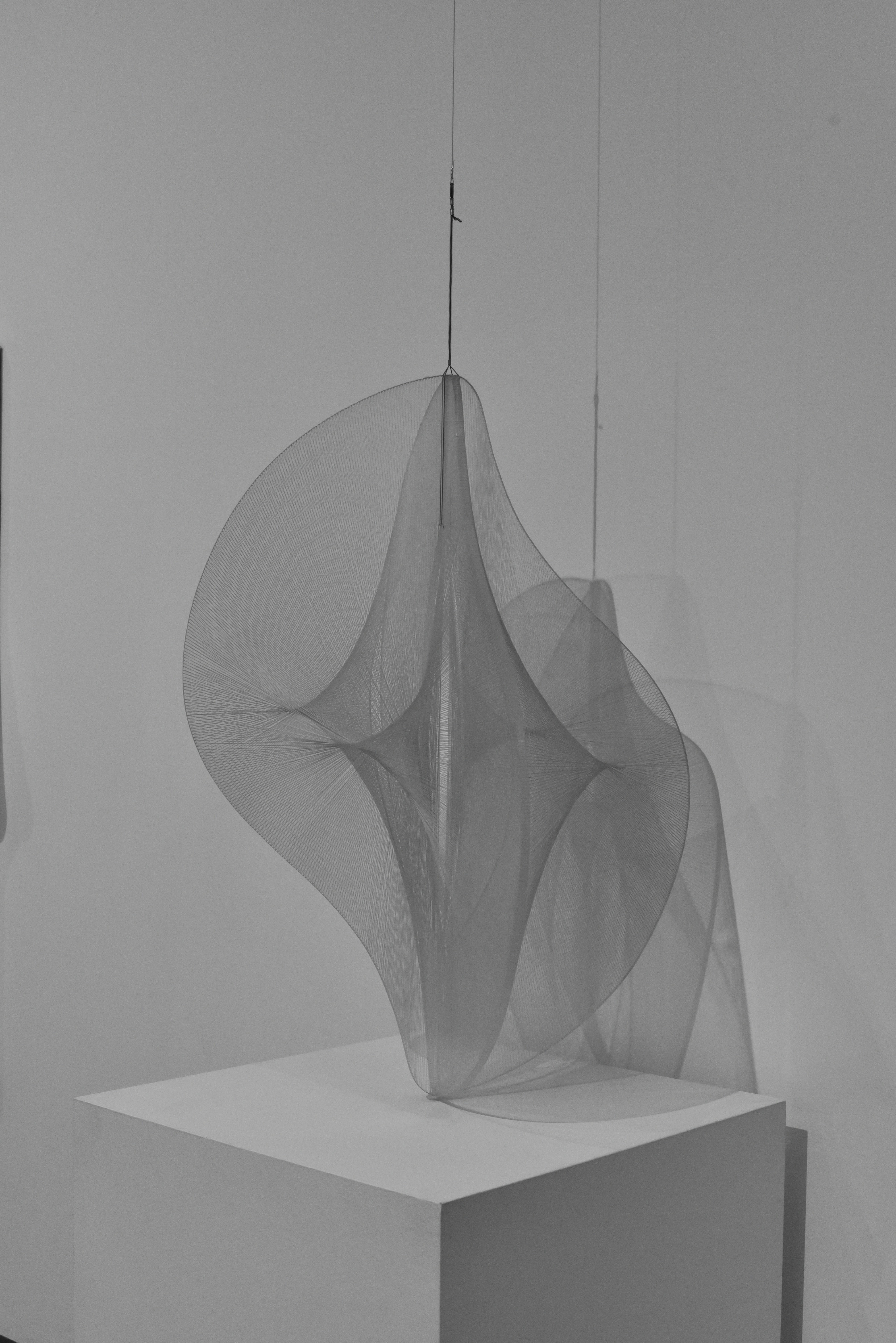 Gravity of Mesh: A Suspended Net Sculpted in Silence
