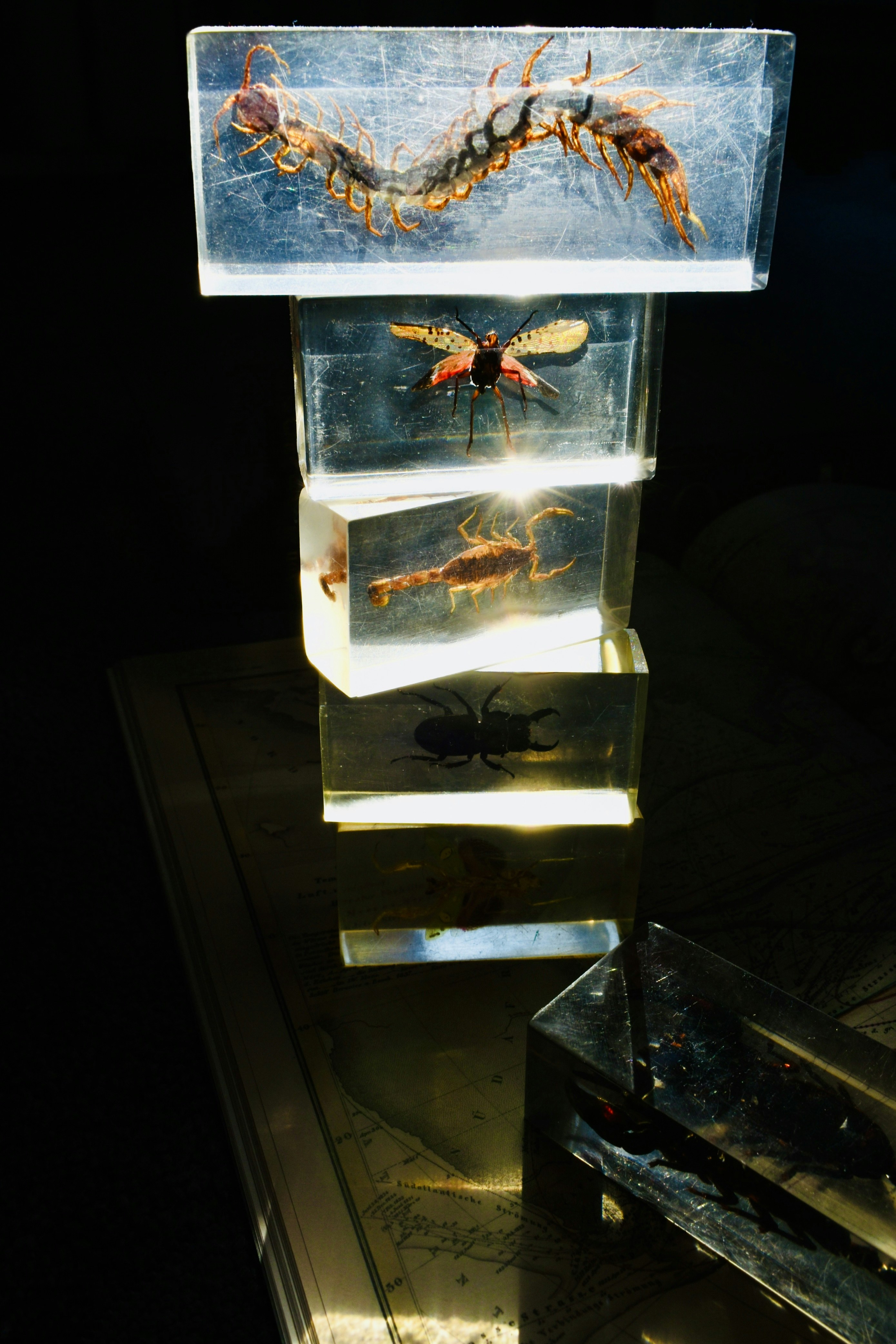 Stacked Glass Insects: Illuminated Encounters in a Dark Exhibit