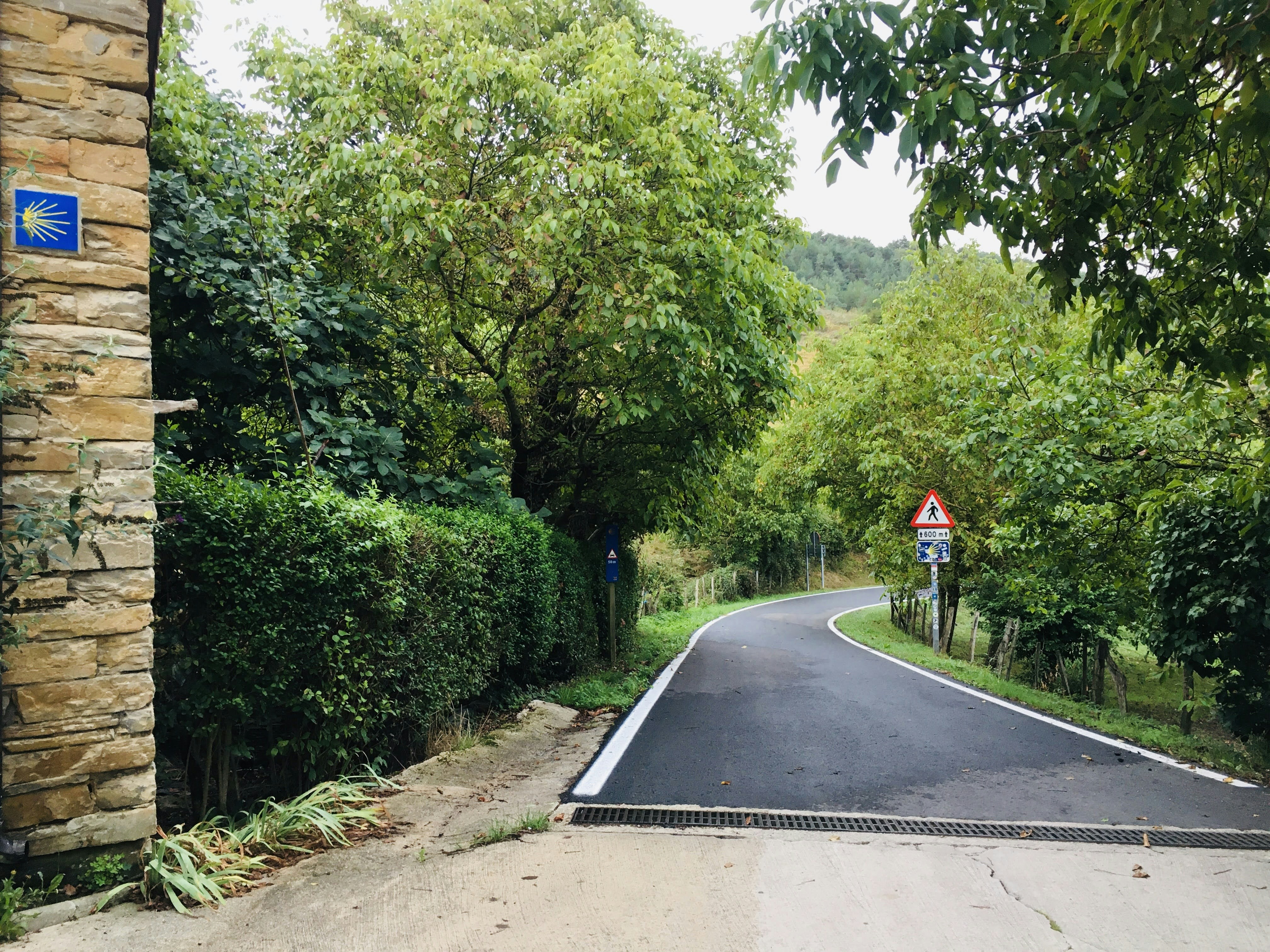 Serpentine Lane into Green Dusk