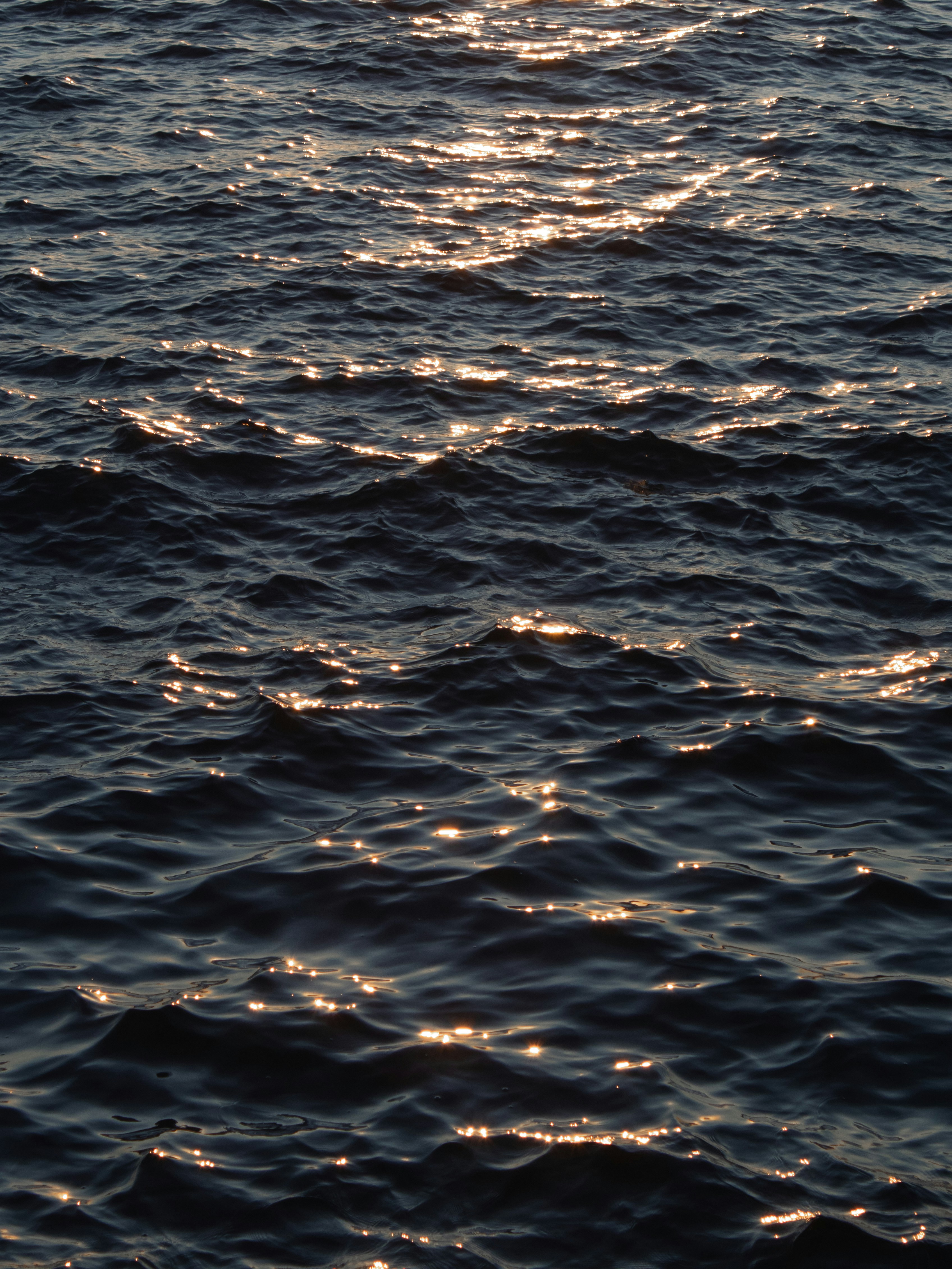 Dawn on the Surface: Rippling Quiet of the Sea