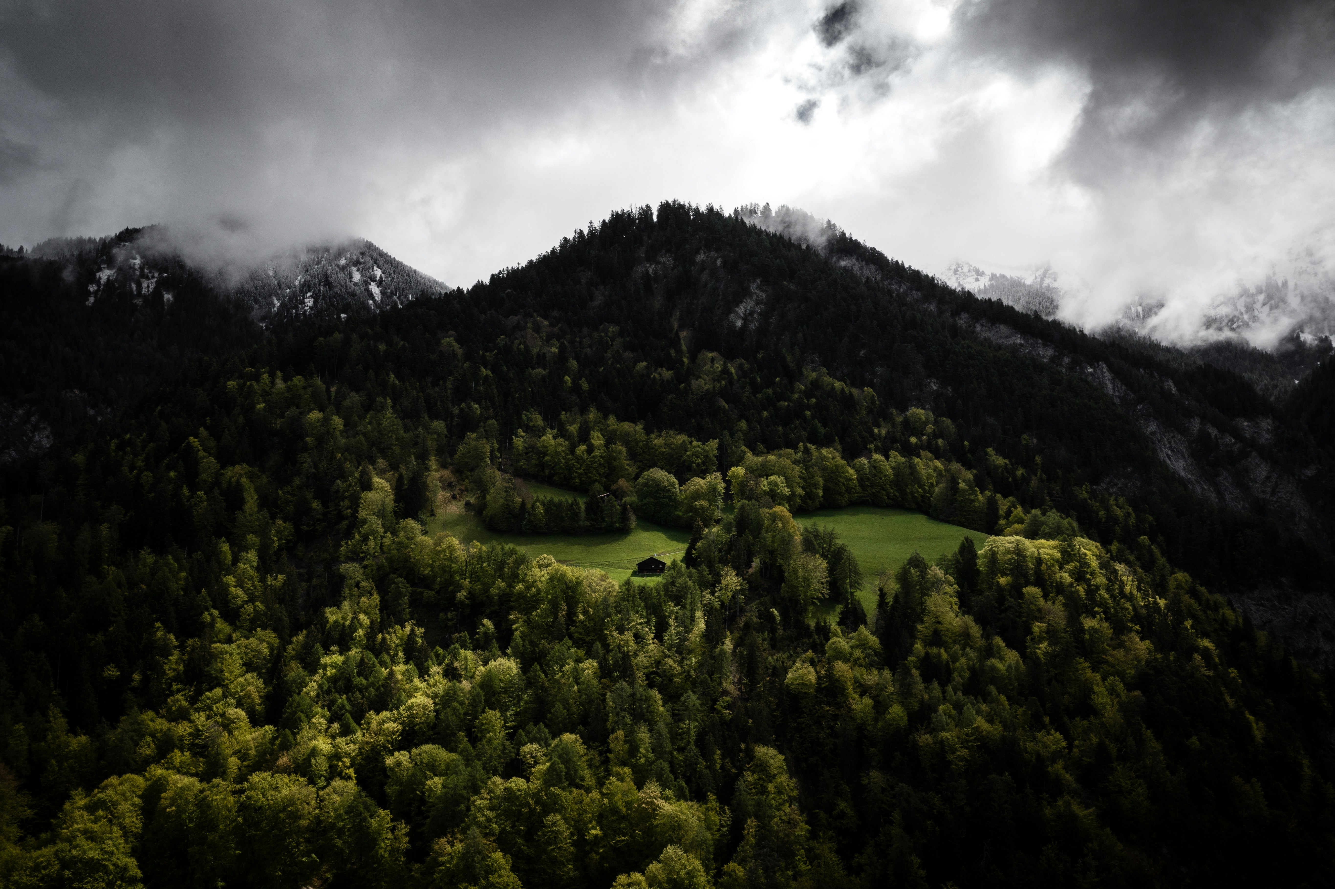 Emerald Clearing Amid Alpine Pines