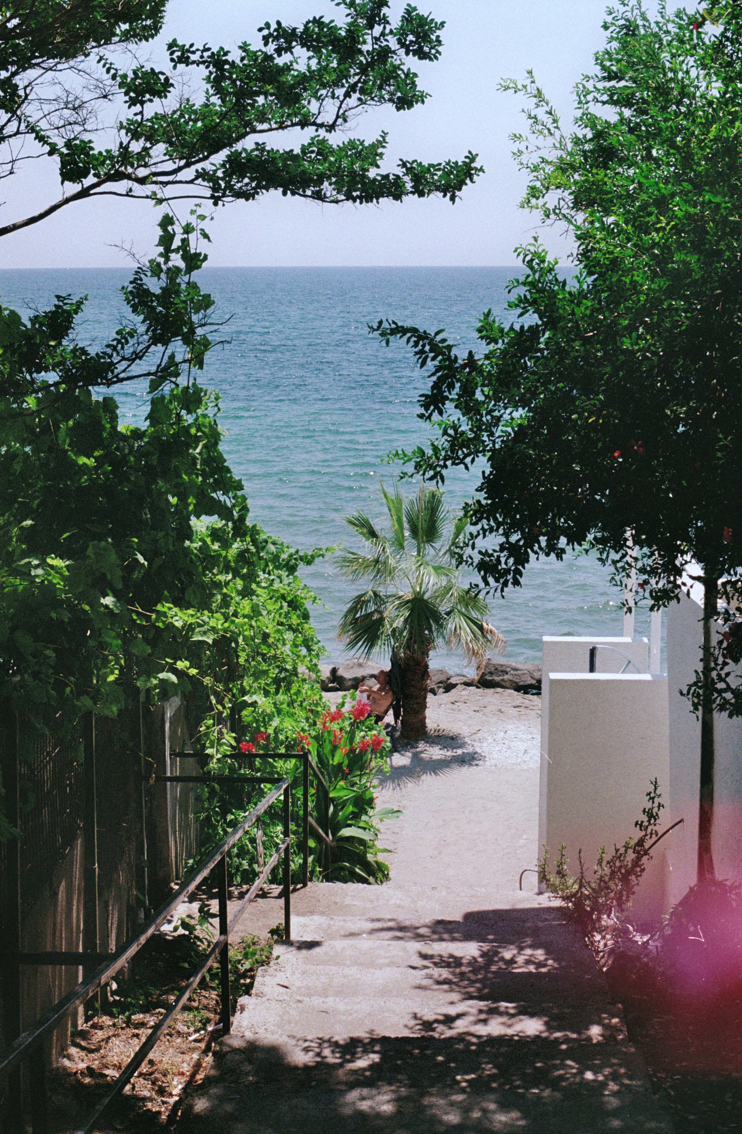 Path to the Sea: A Sunlit Corridor to the turquoise Shore