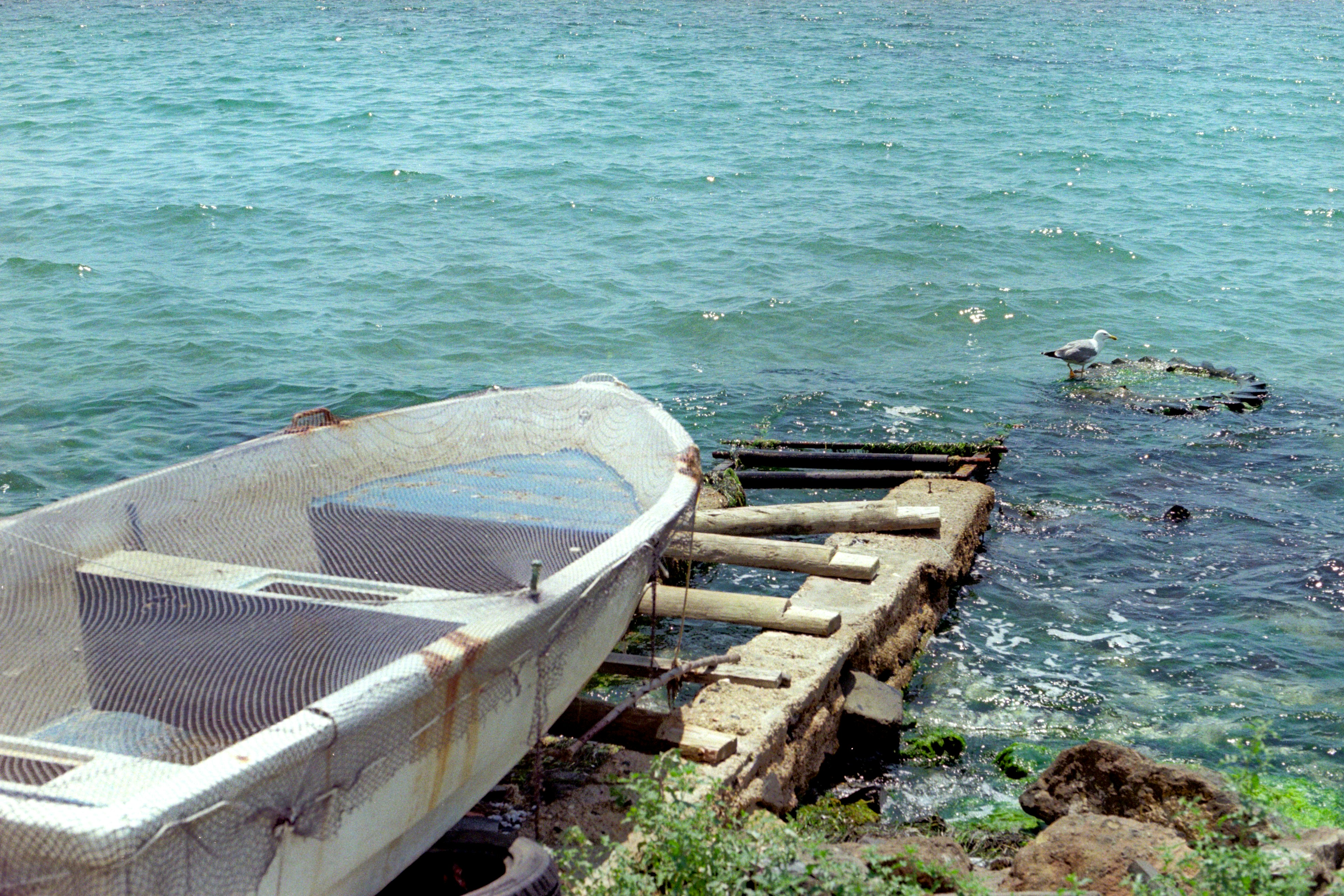 Photo of a boat with a seagull standing on a rock. Shot on a Zenit 122 camera with Fujifilm 400 35mm film.