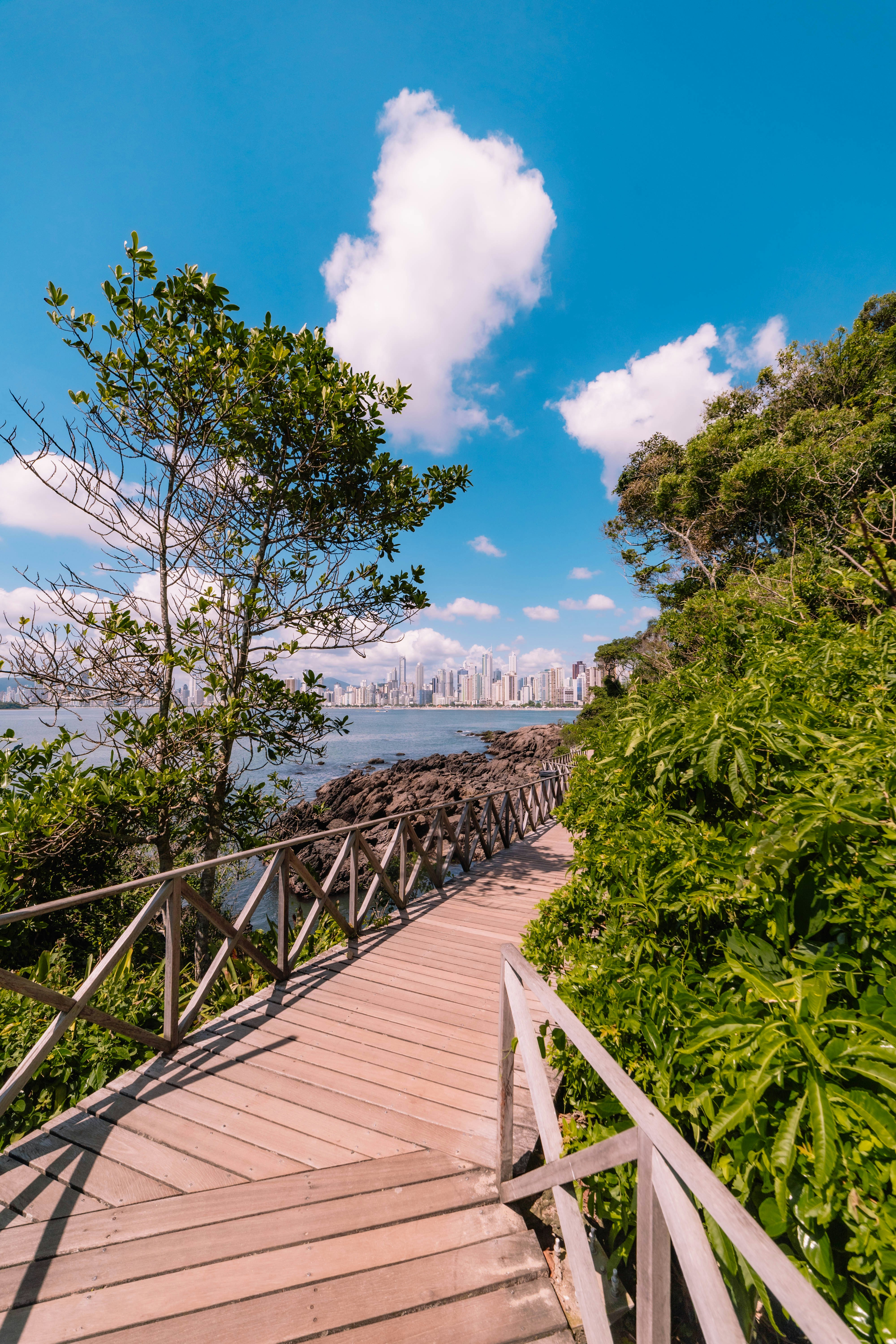 Seaside Boardwalk Through Green Canopy Toward a Distant Skyline
