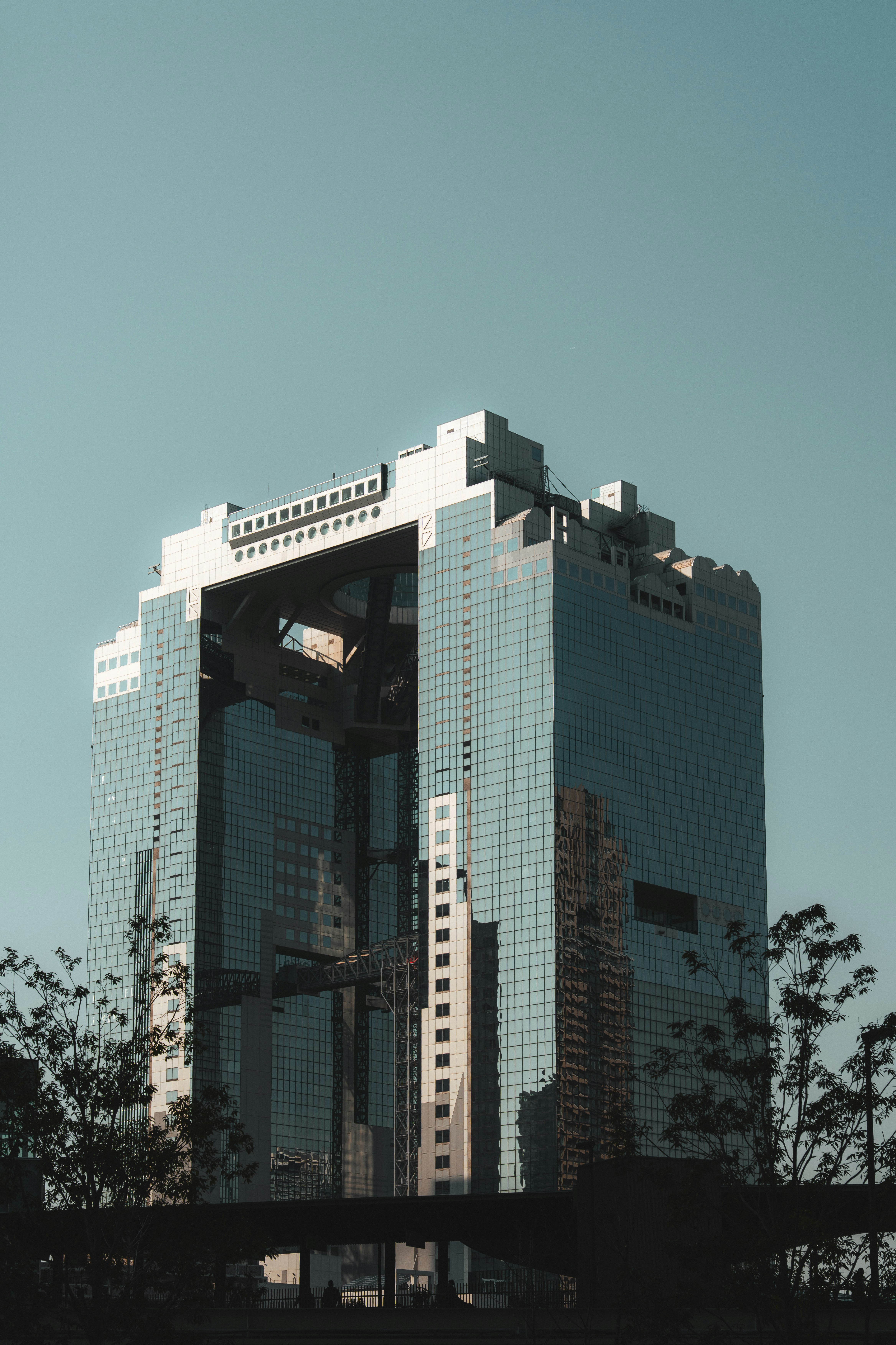Glassy Giant: A Towering Facade Reaching Toward a Clear Sky