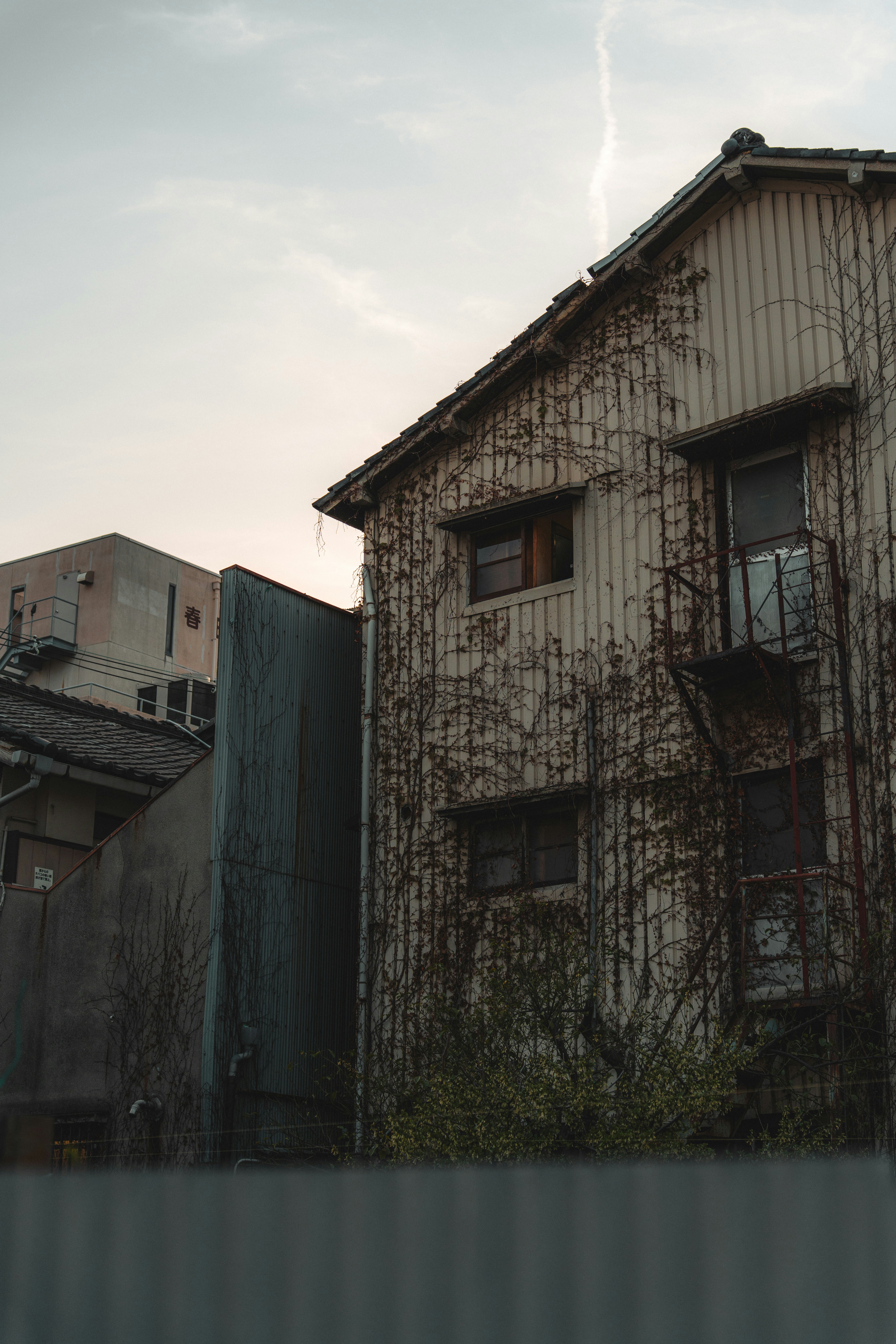 Ivy-clad Facade, Quiet Urban Silhouette at Dusk