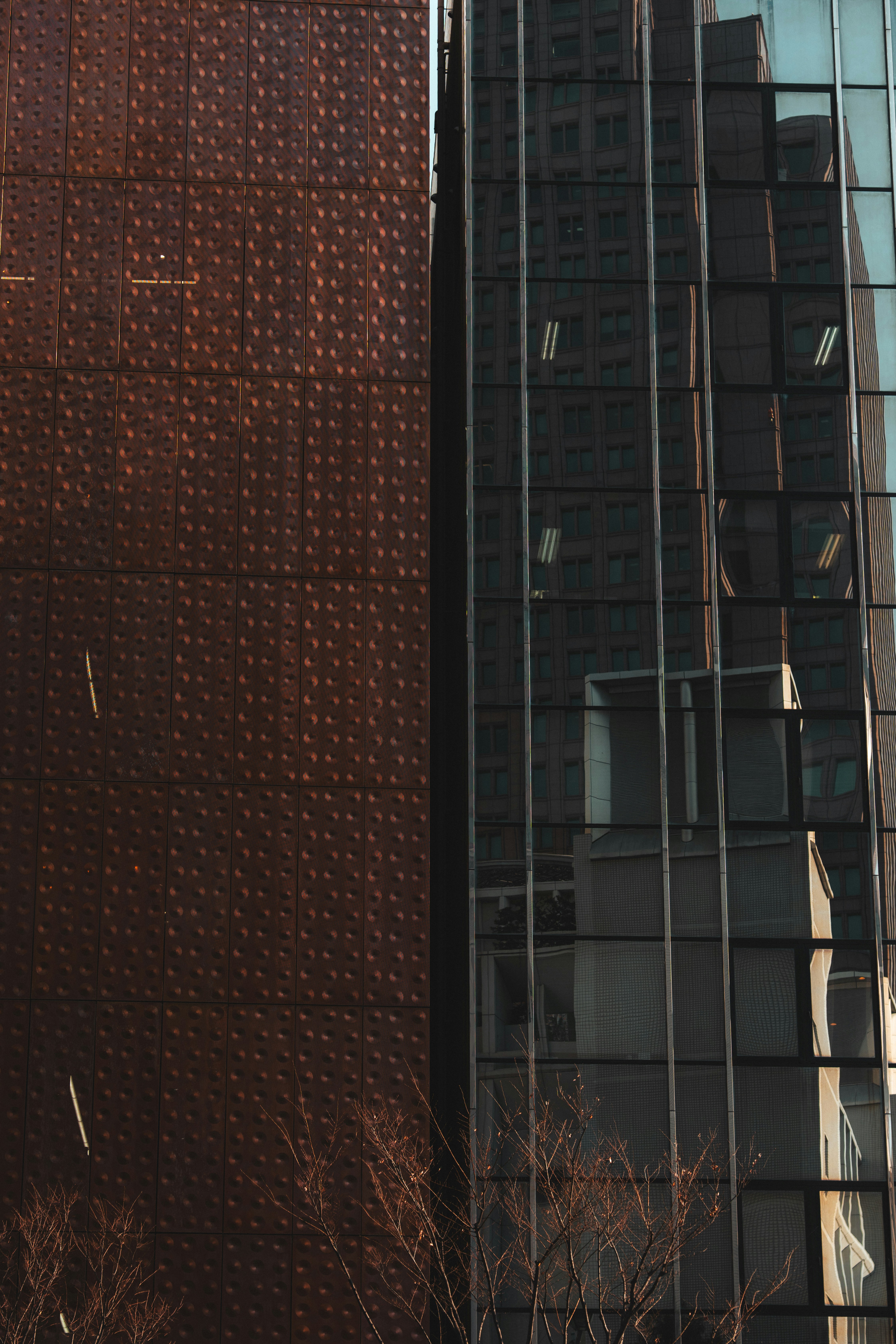 Dual Facades: Steel and Glass in Quiet Urban Light