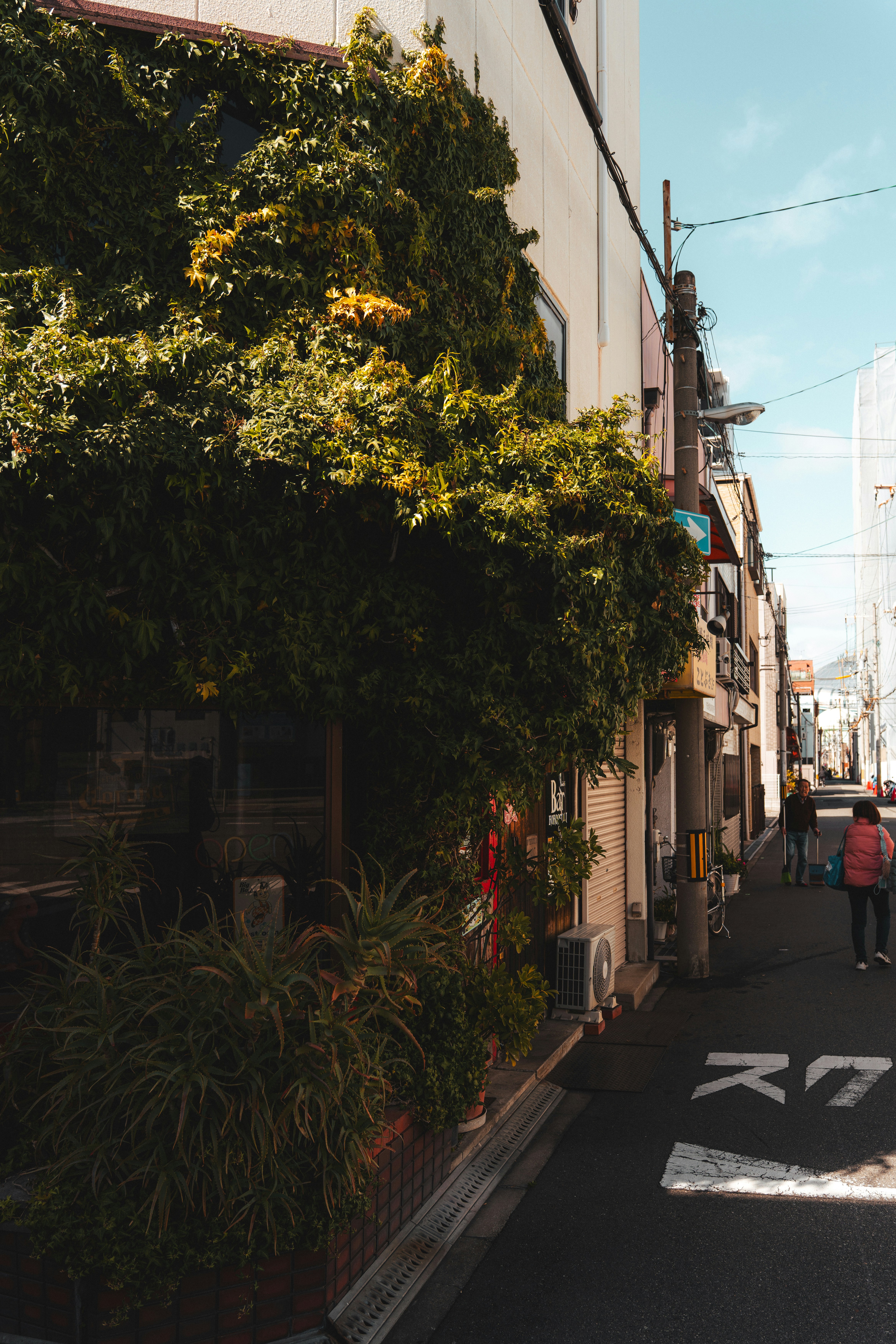 Verdant storefront canopies frame a sunlit urban lane