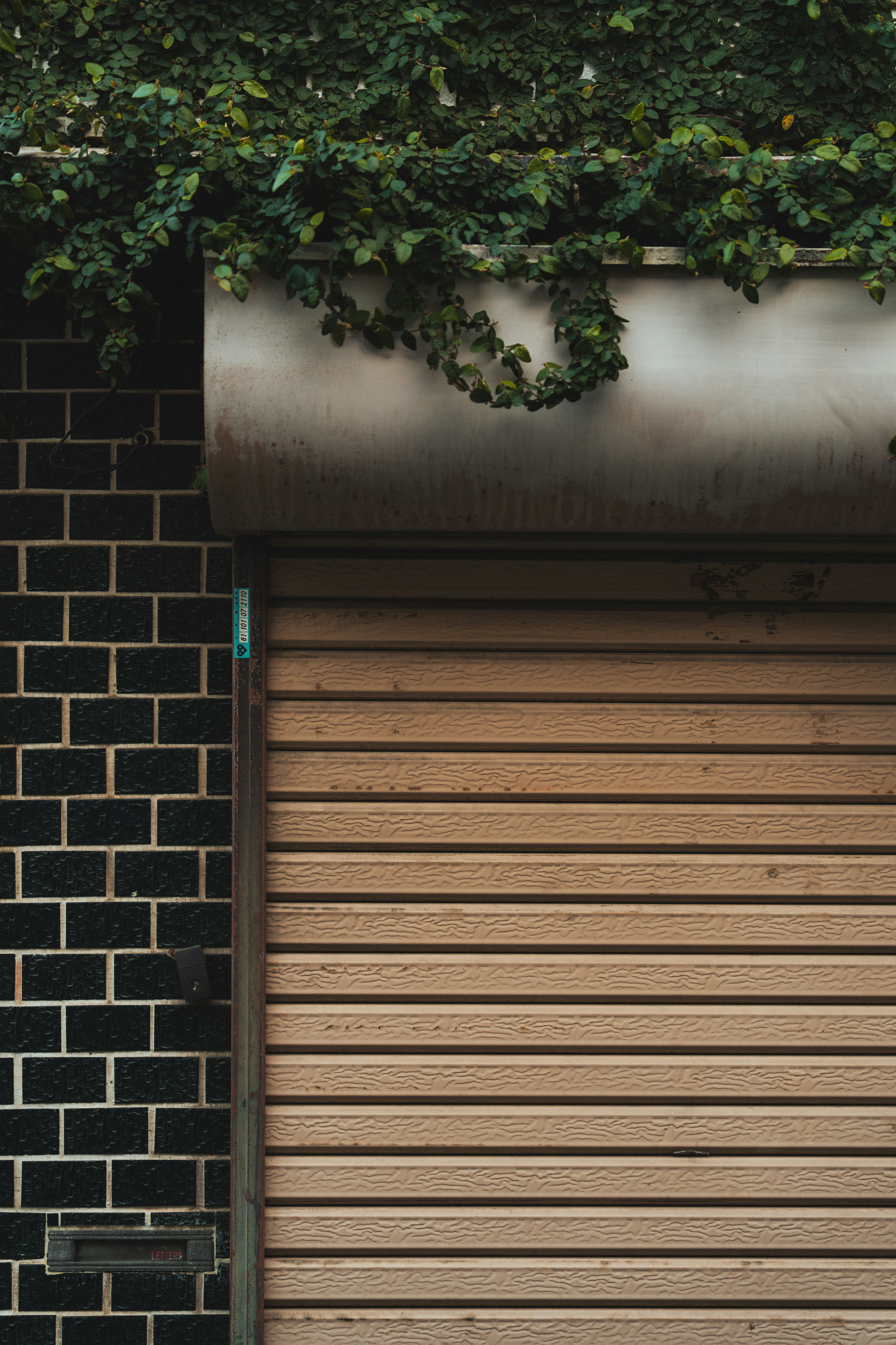 Urban Quiet: A Closed Shutter with Greenery Framing