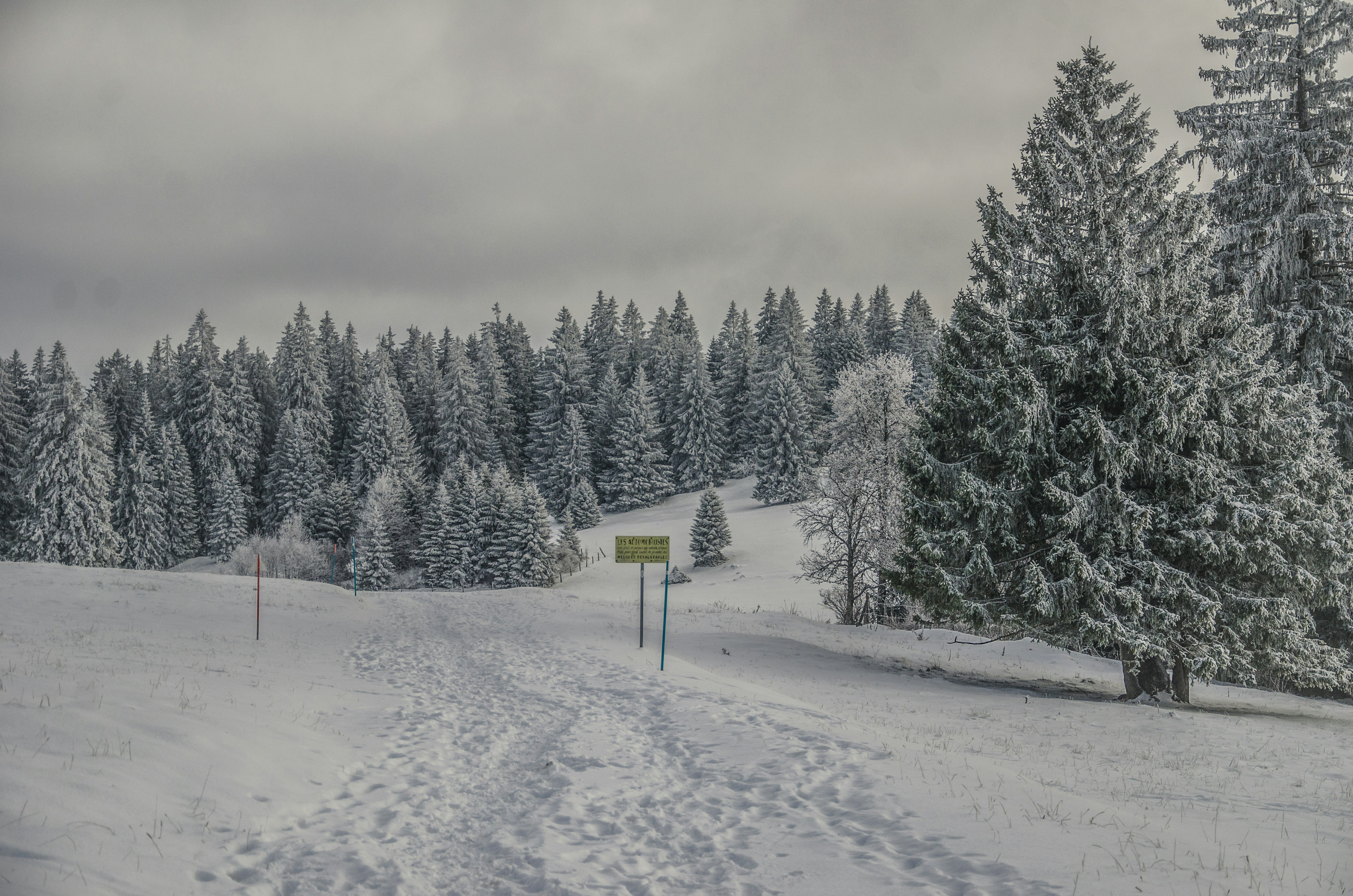 Winter Trail to the Snow-Covered Signpost
