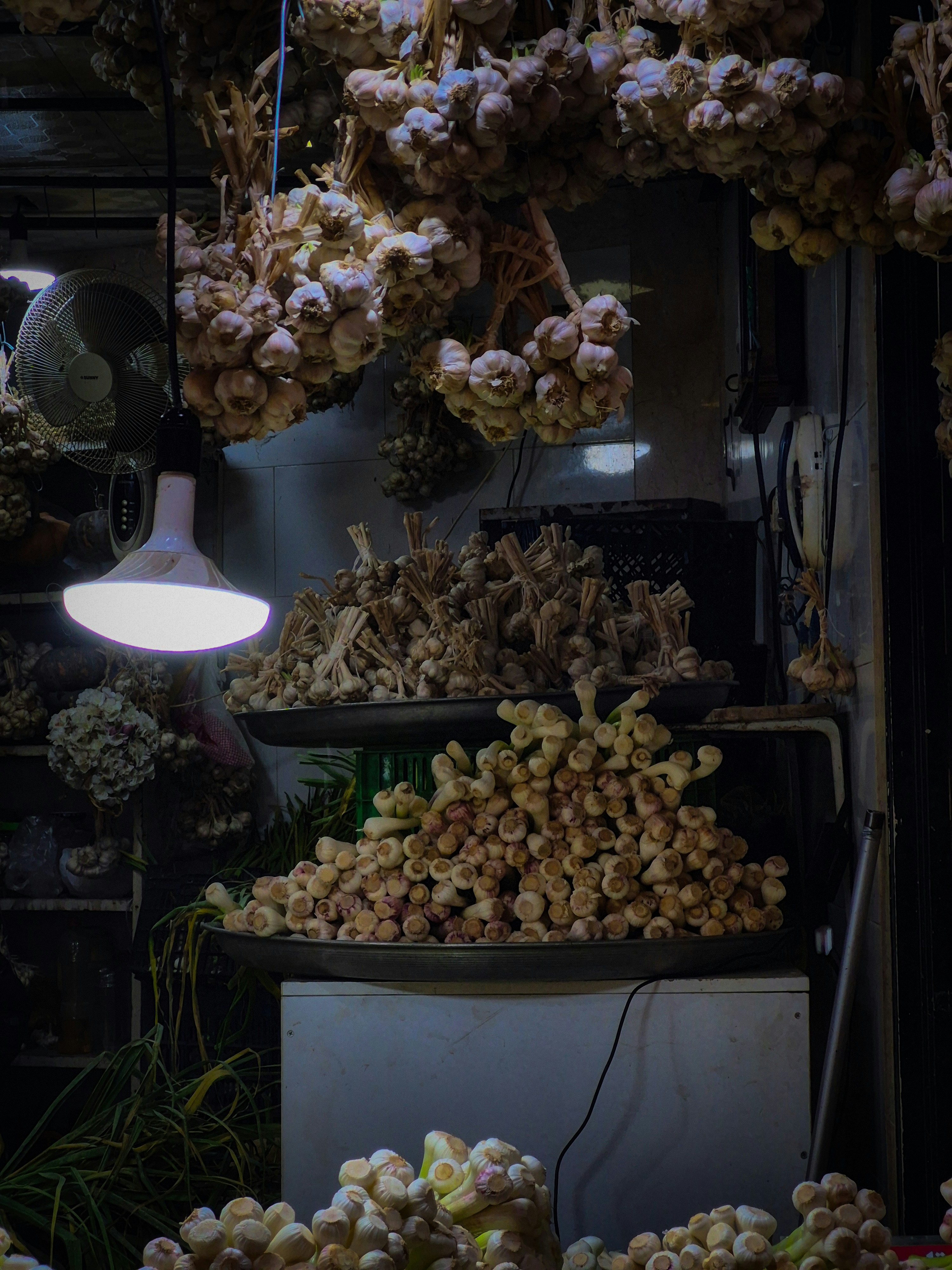 Under Lantern Light: Garlic Bunches and Stacked Roots