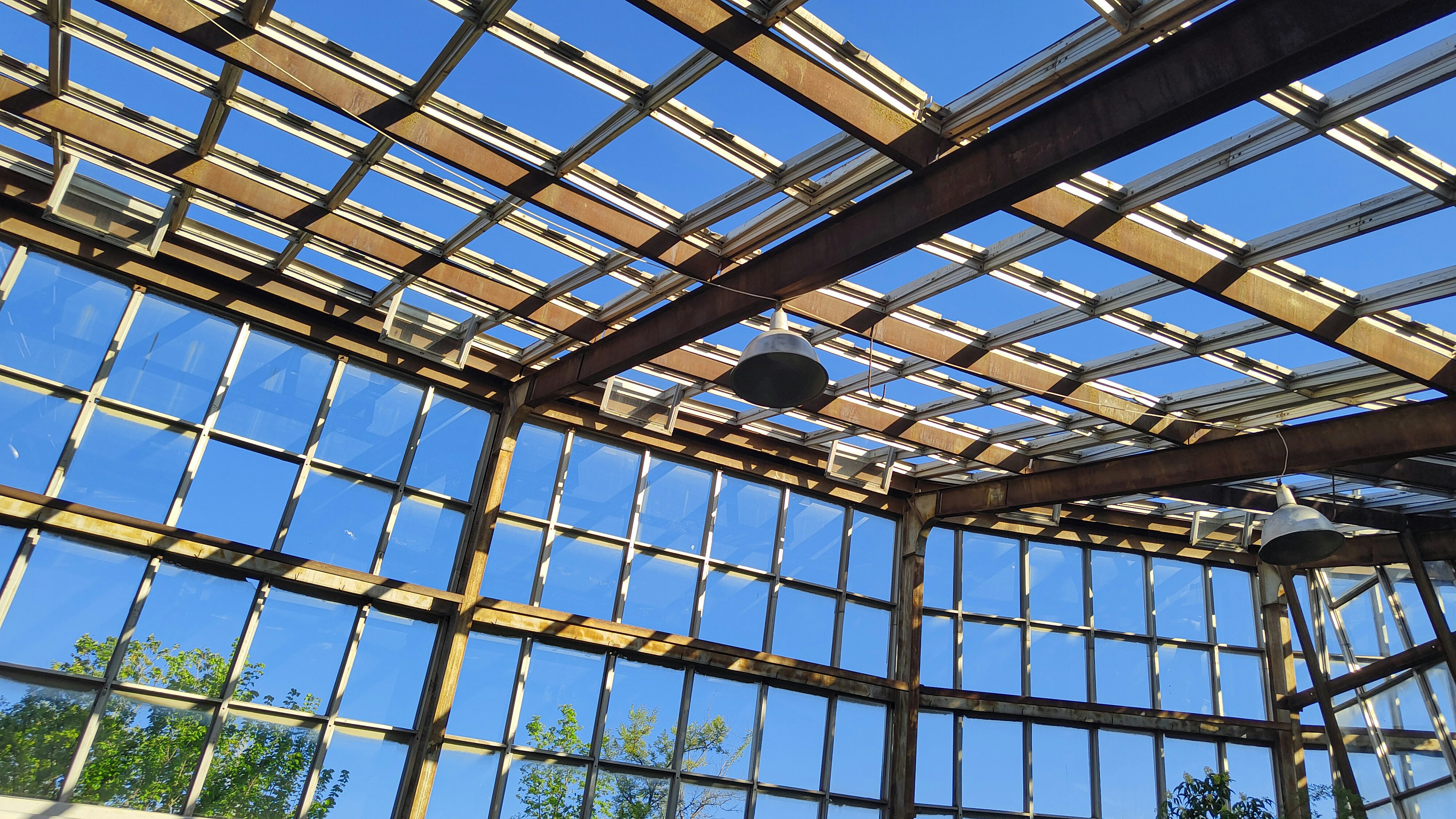 Grid of Sky: A Glass Atrium Basking in Sunlit Geometry