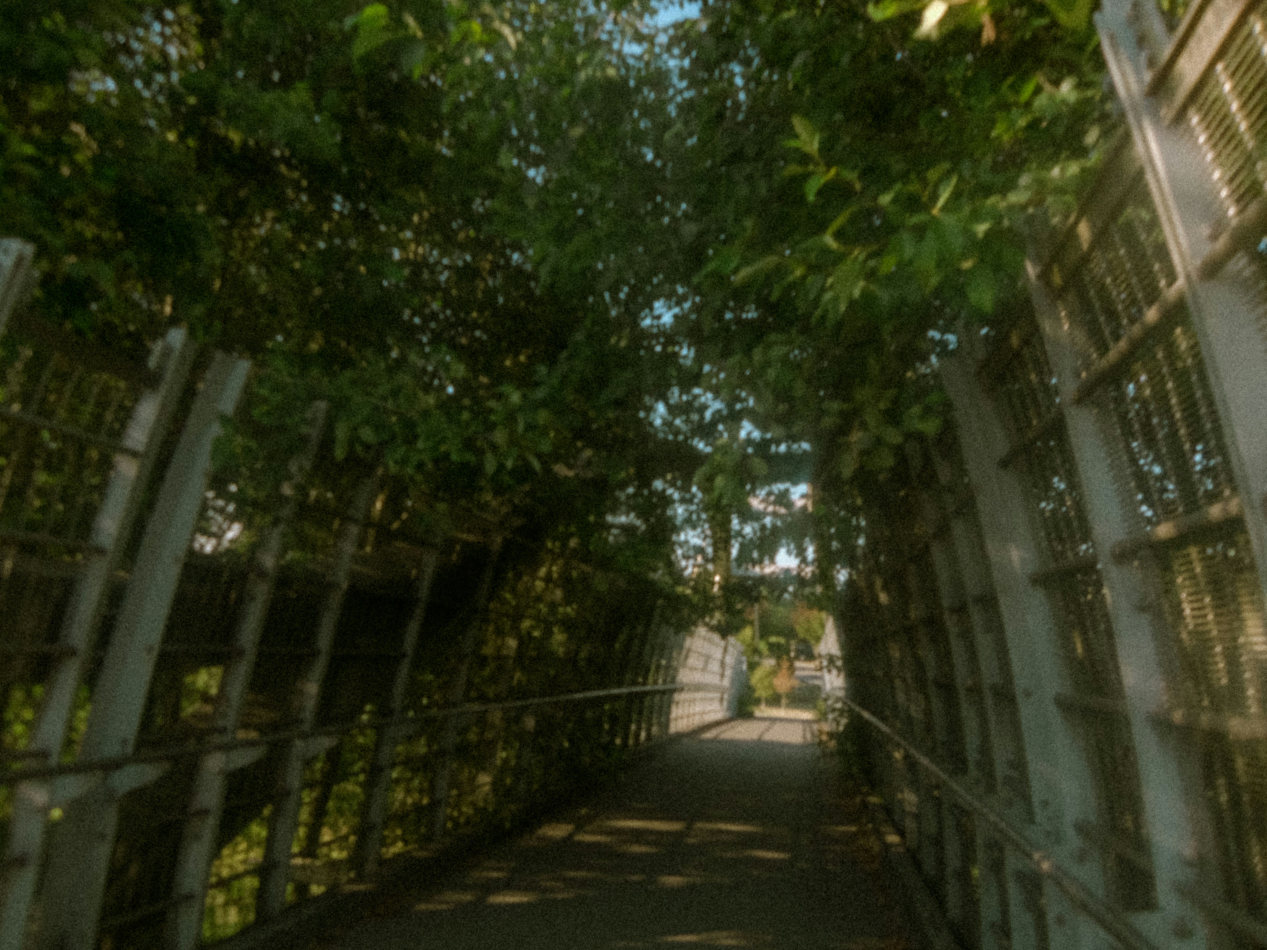 A sunlit, vine-draped walkway forms a natural tunnel as metal railings frame the shaded path ahead. The perspective draws the eye toward the distant opening, highlighting a quiet, sheltered corridor.