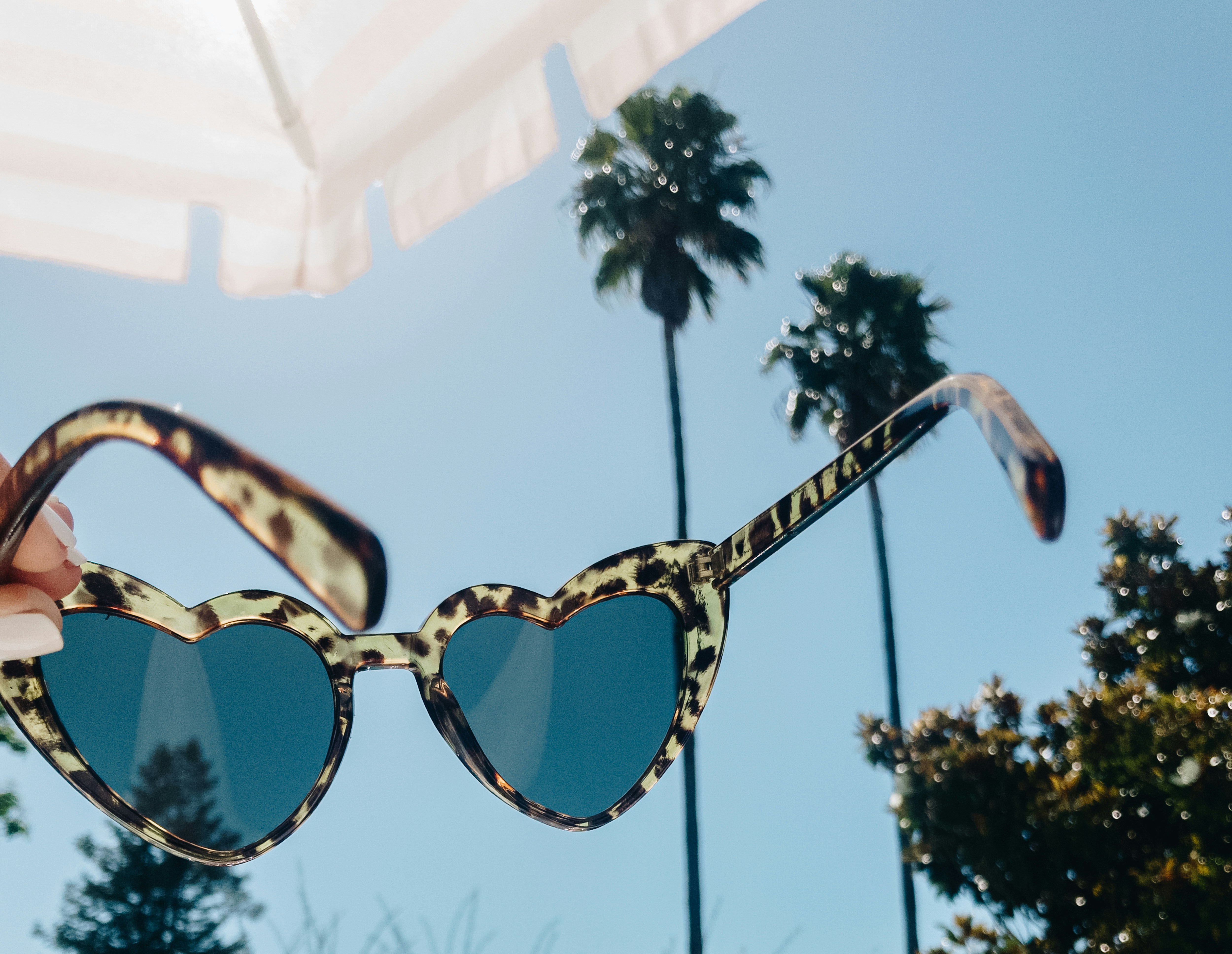 Bright leopard-pattern sunglasses float in the foreground with palm trees against a clear blue sky, capturing a sunny outdoor scene.