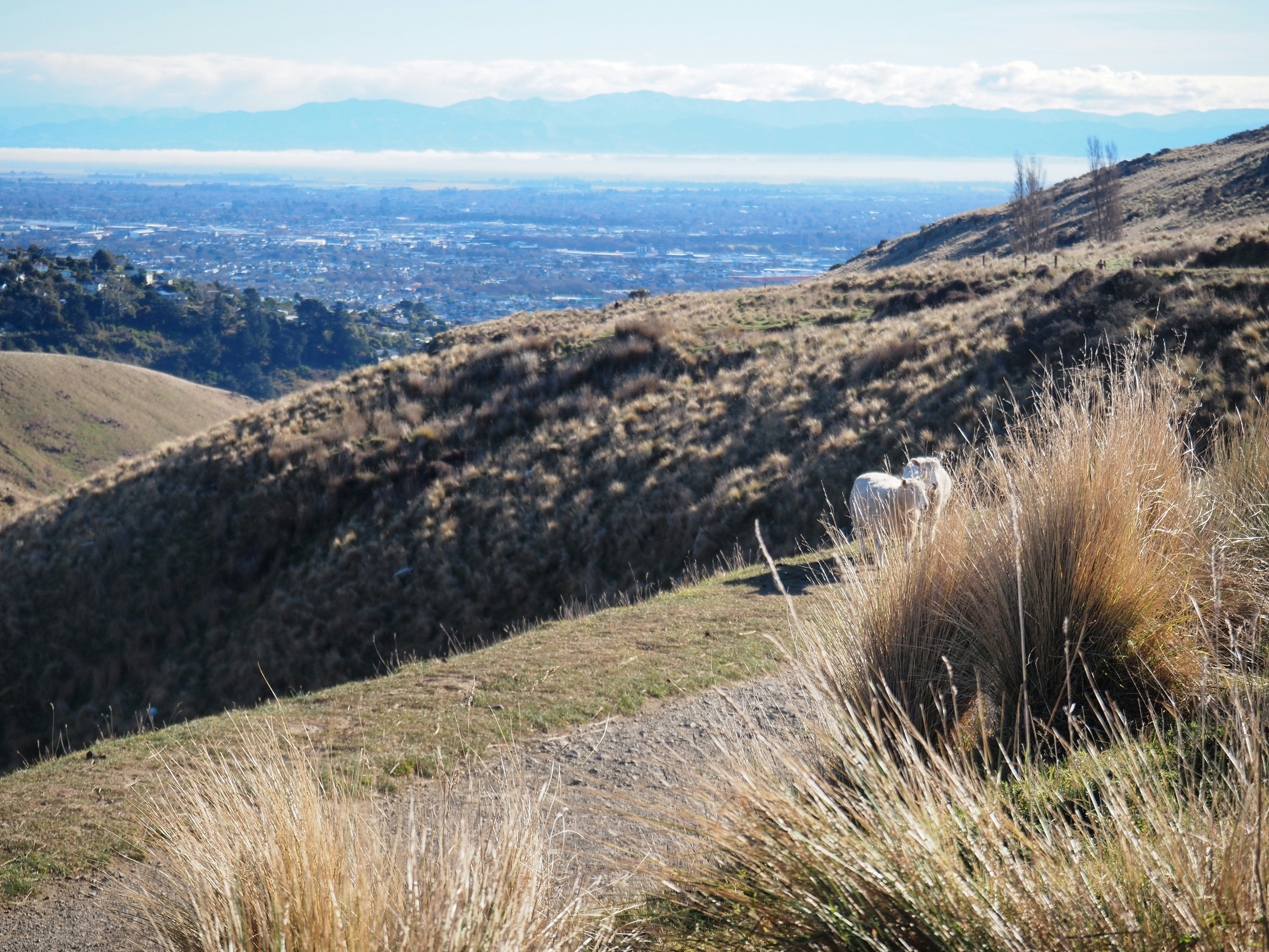 Hilltop Pathway Framing a Lone Bench Against a Distant Valley
