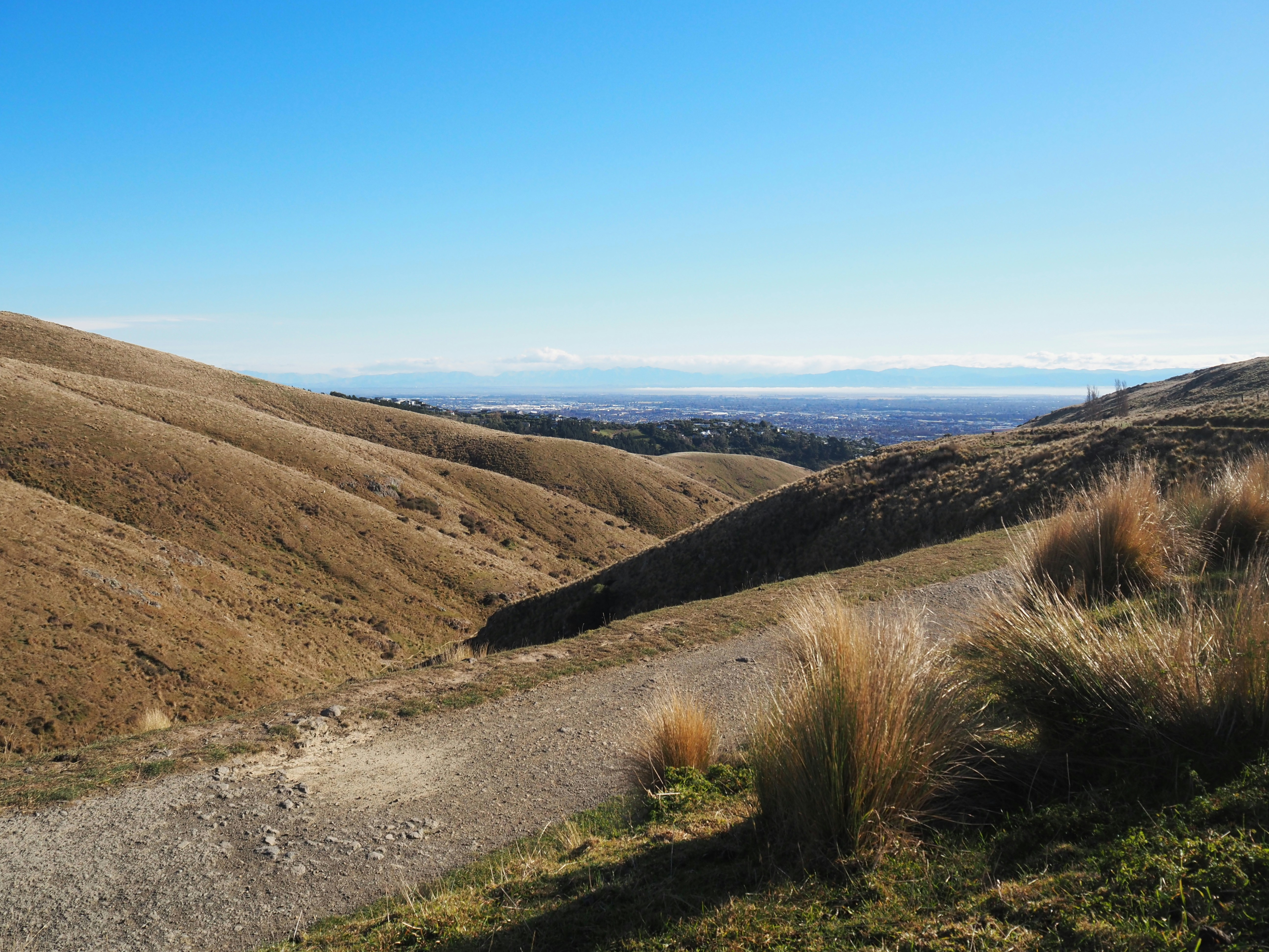 Golden hills roll toward a distant city under a clear blue sky, with a rugged dirt path and tufts of dry grass in the foreground. The scene captures a tranquil landscape and the sense of space.