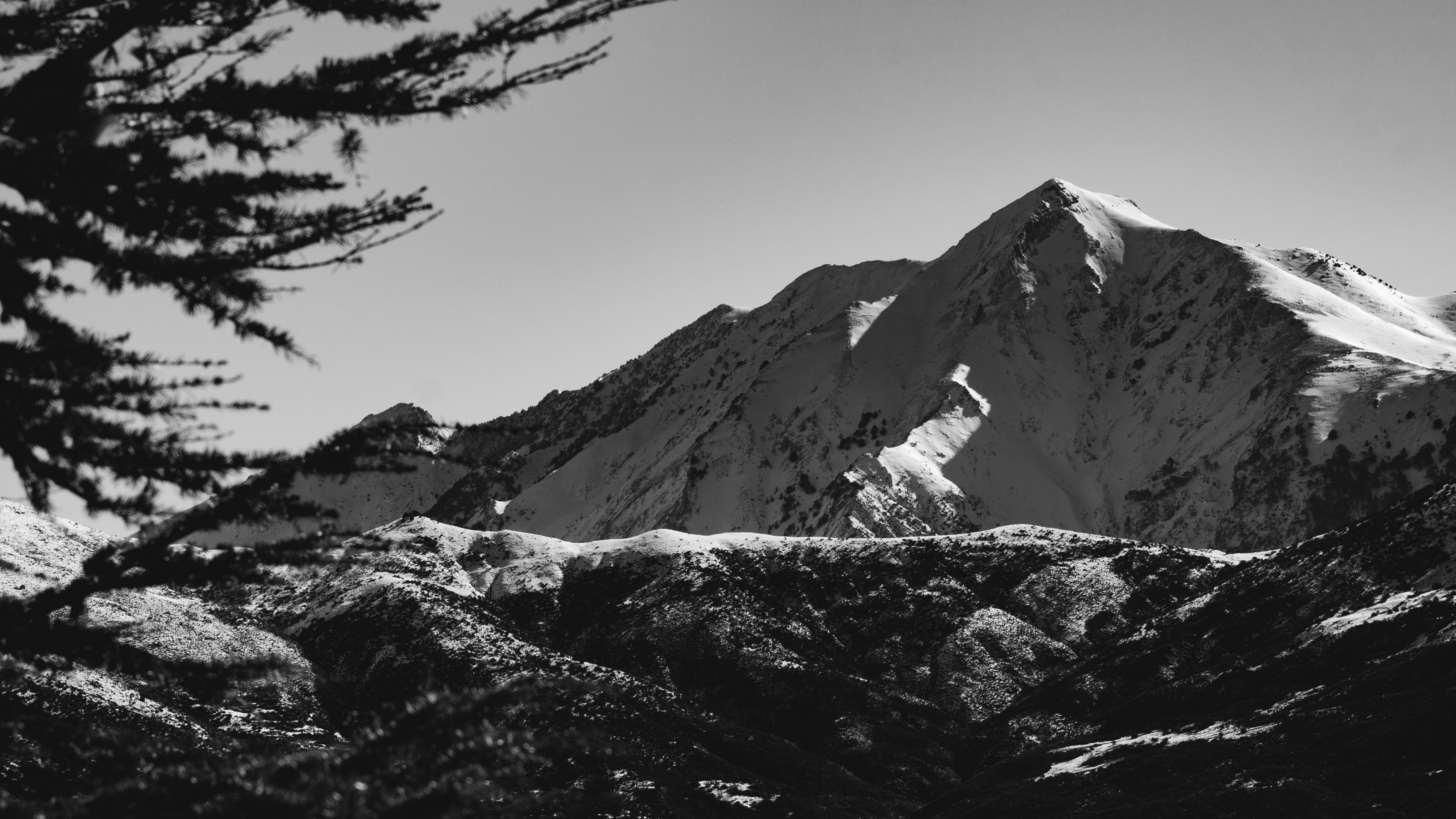 Summit Crown in Monochrome Silence