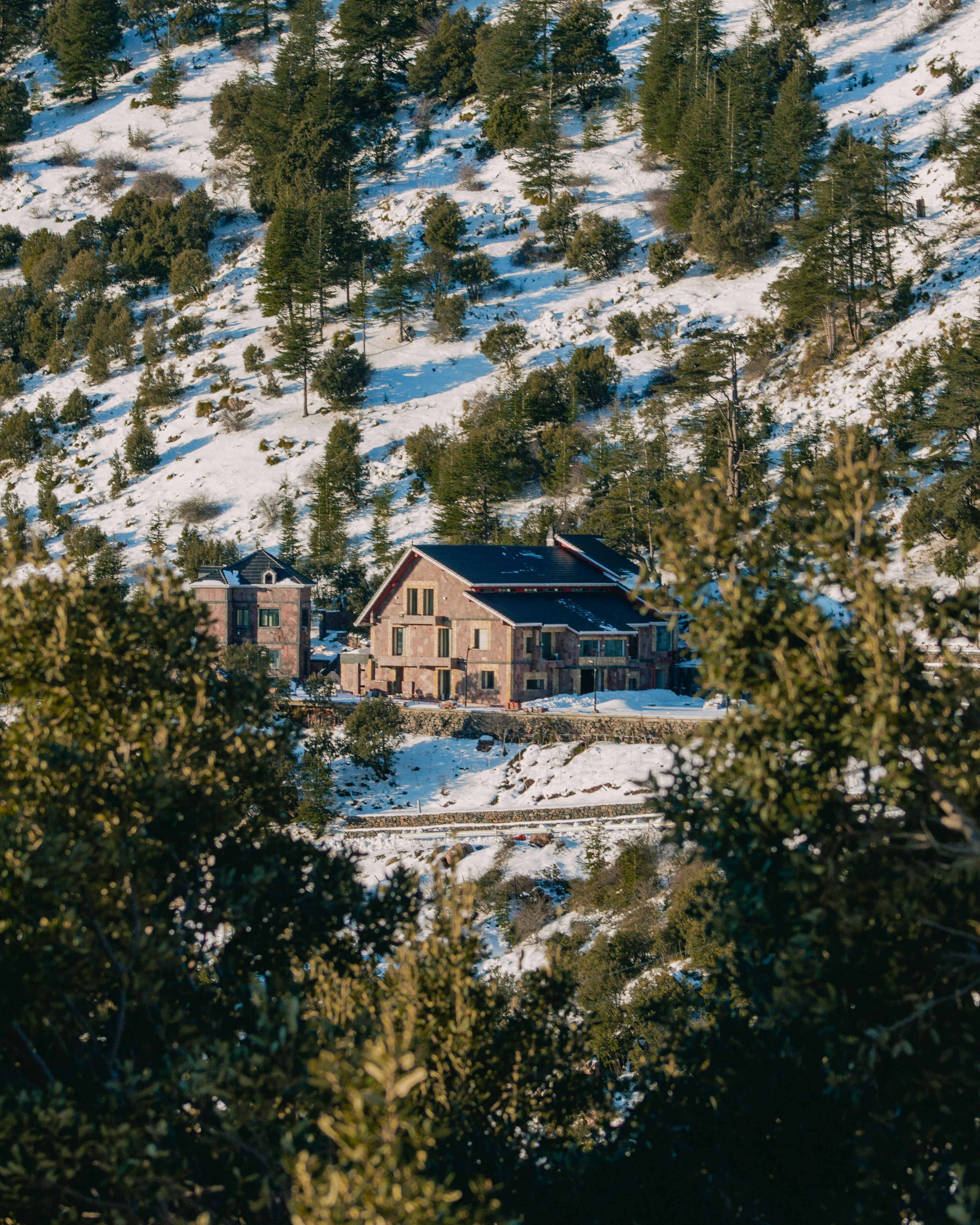 Snowlit Alpine Lodge Nestled Among Pines