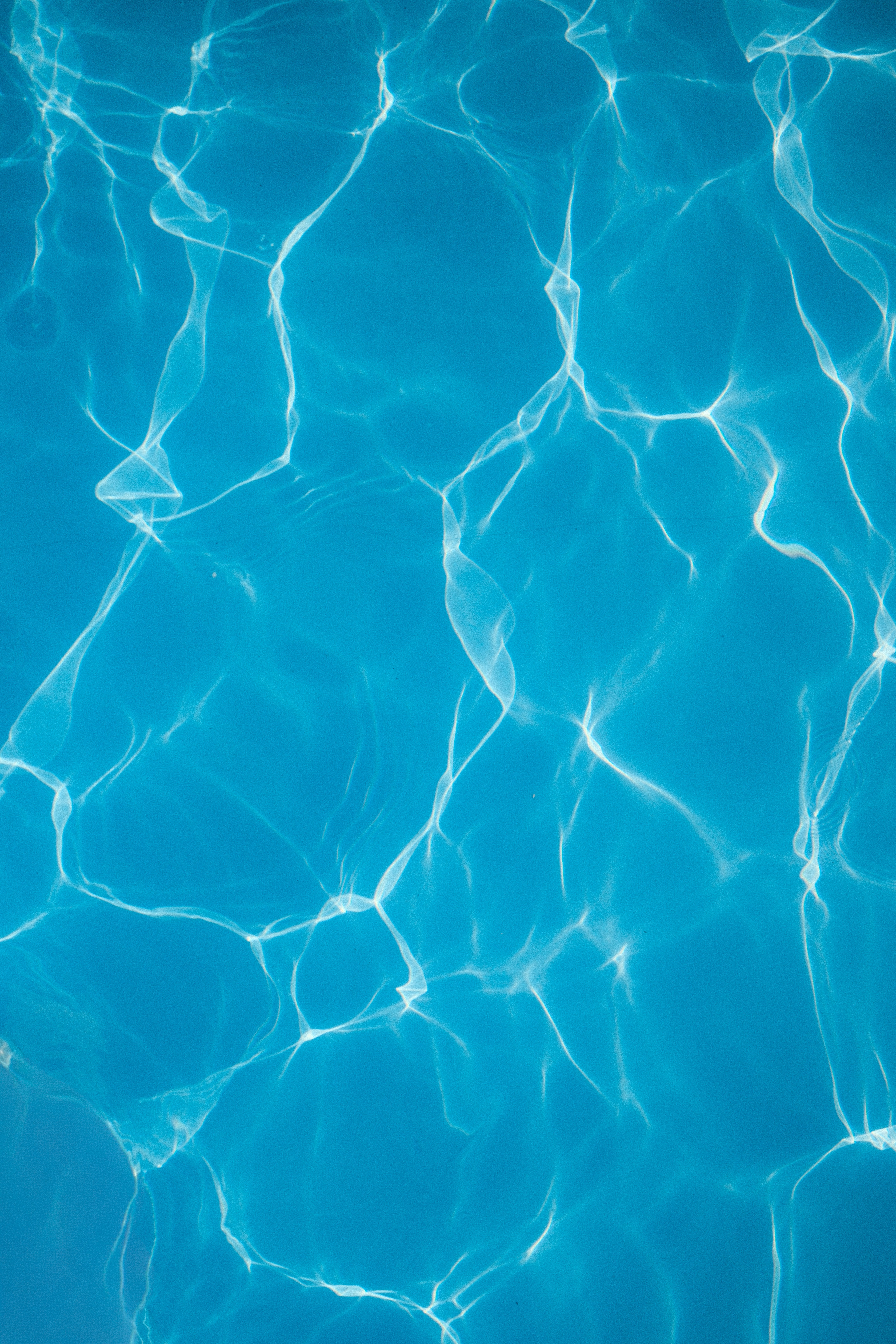 Liquid Veins: A Sunlit Poolscape