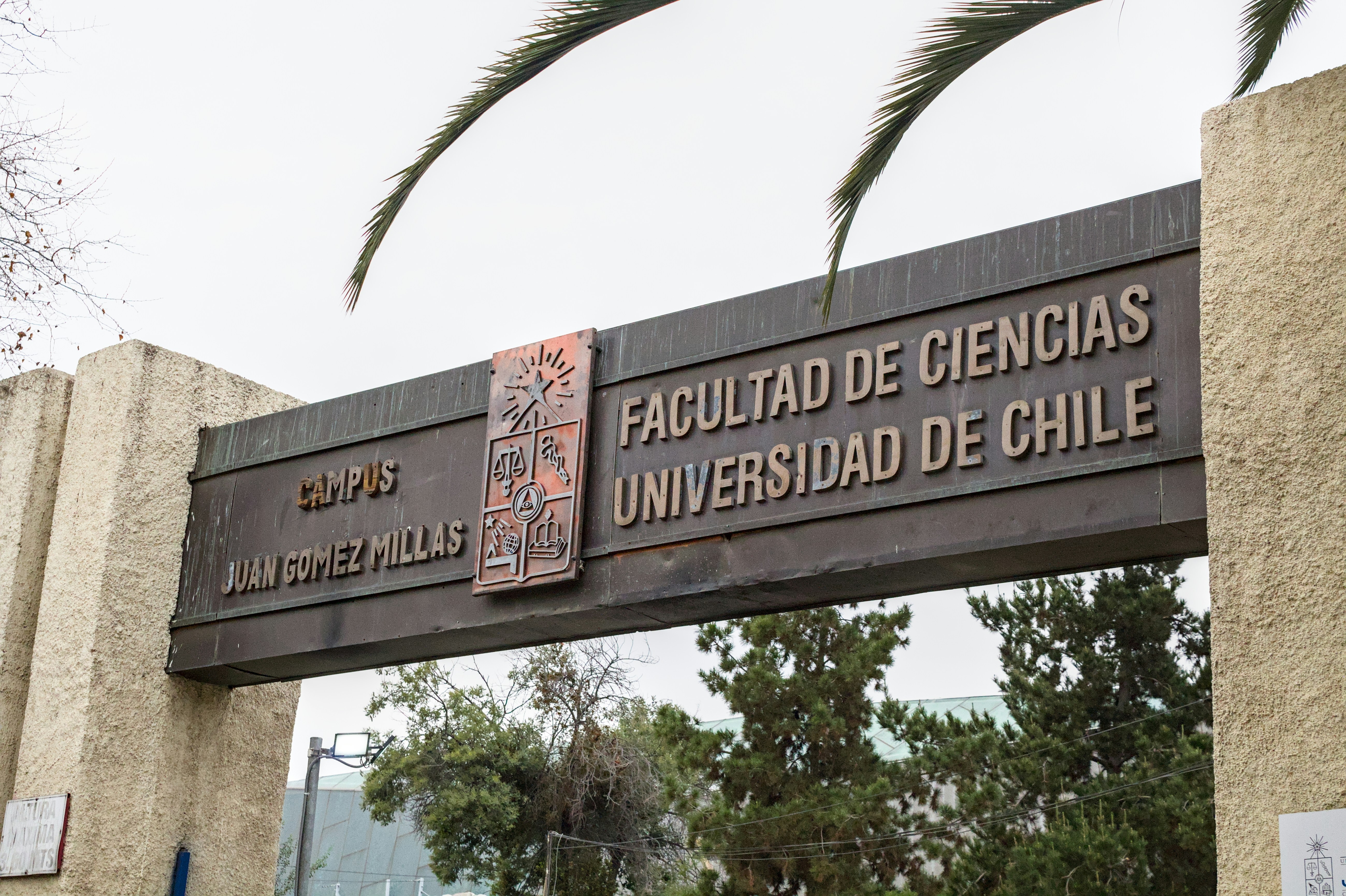 Campus gate sign for Facultad de Ciencias, Universidad de Chile, with palm fronds overhead and trees in the background. Building entrance visible, indicating academic precinct.