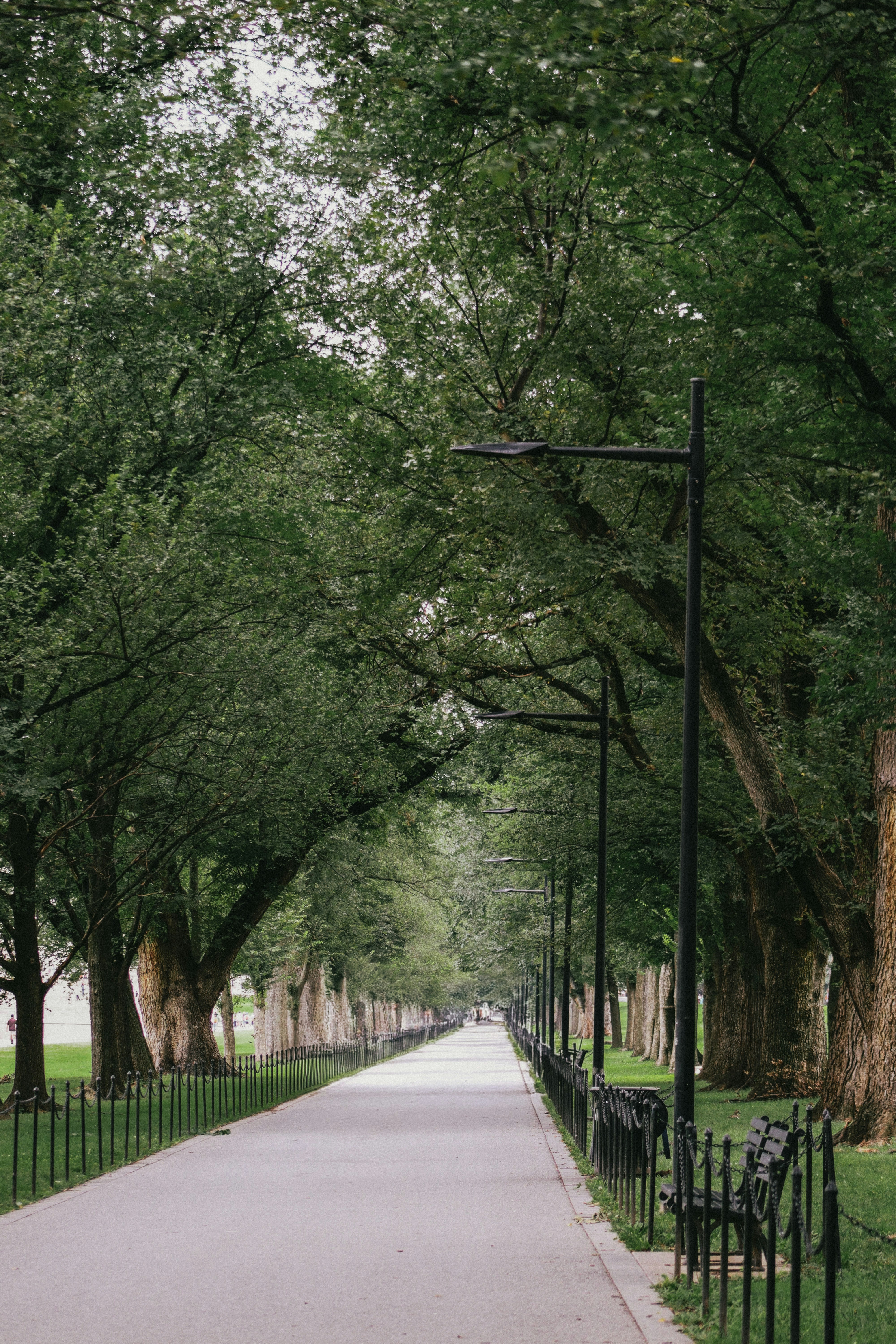 Tree-lined boulevard stretches into the distance with a straight, empty path flanked by lamp posts and railing, inviting a contemplative walk through the park.