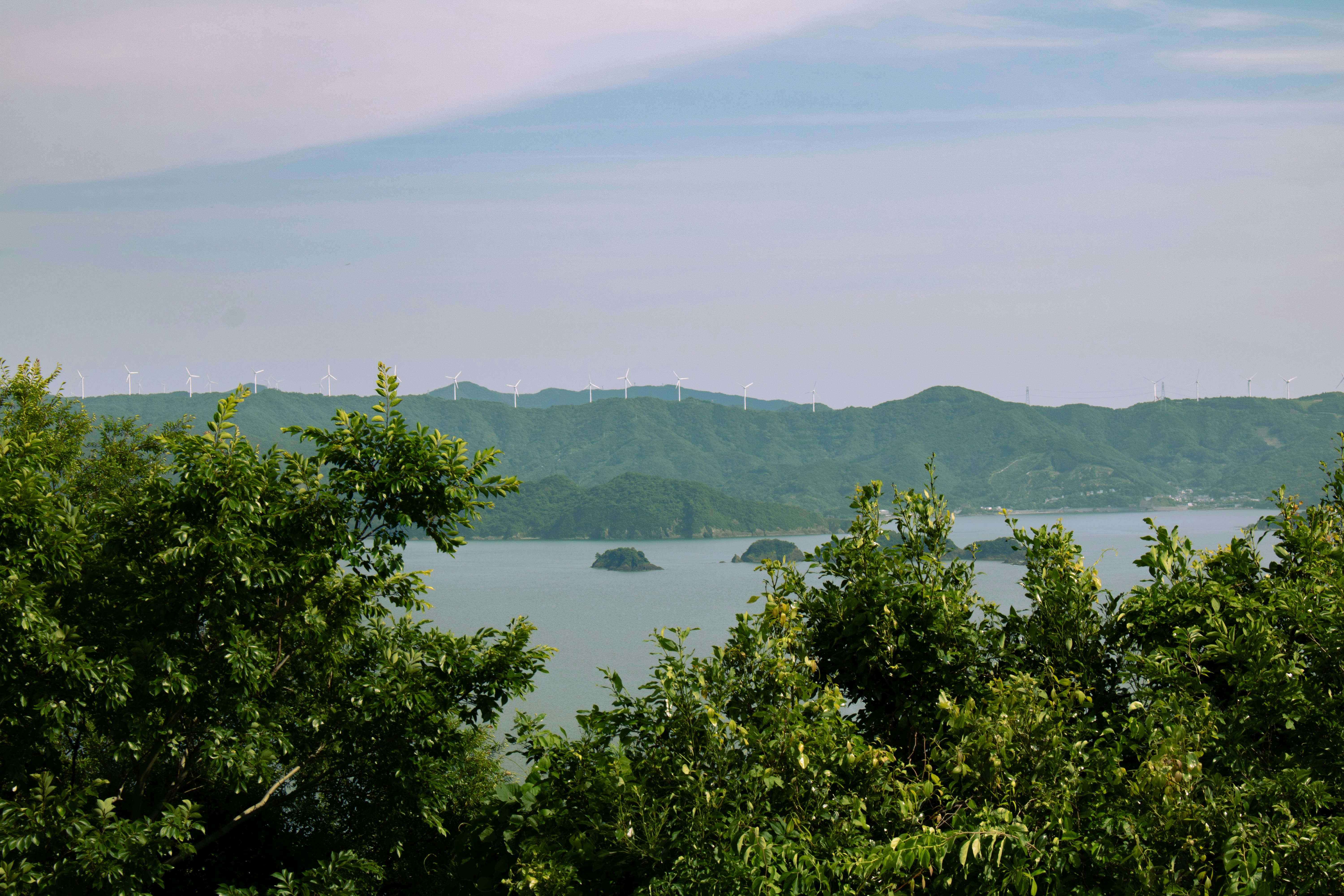 Distant Windmills over a Green Crest